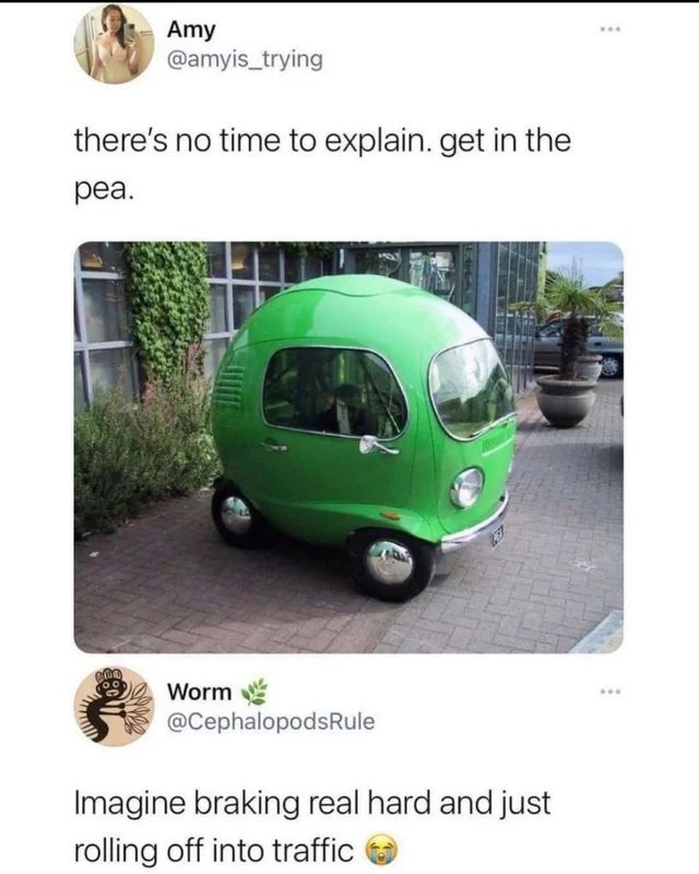 Pea rule | Scrolller