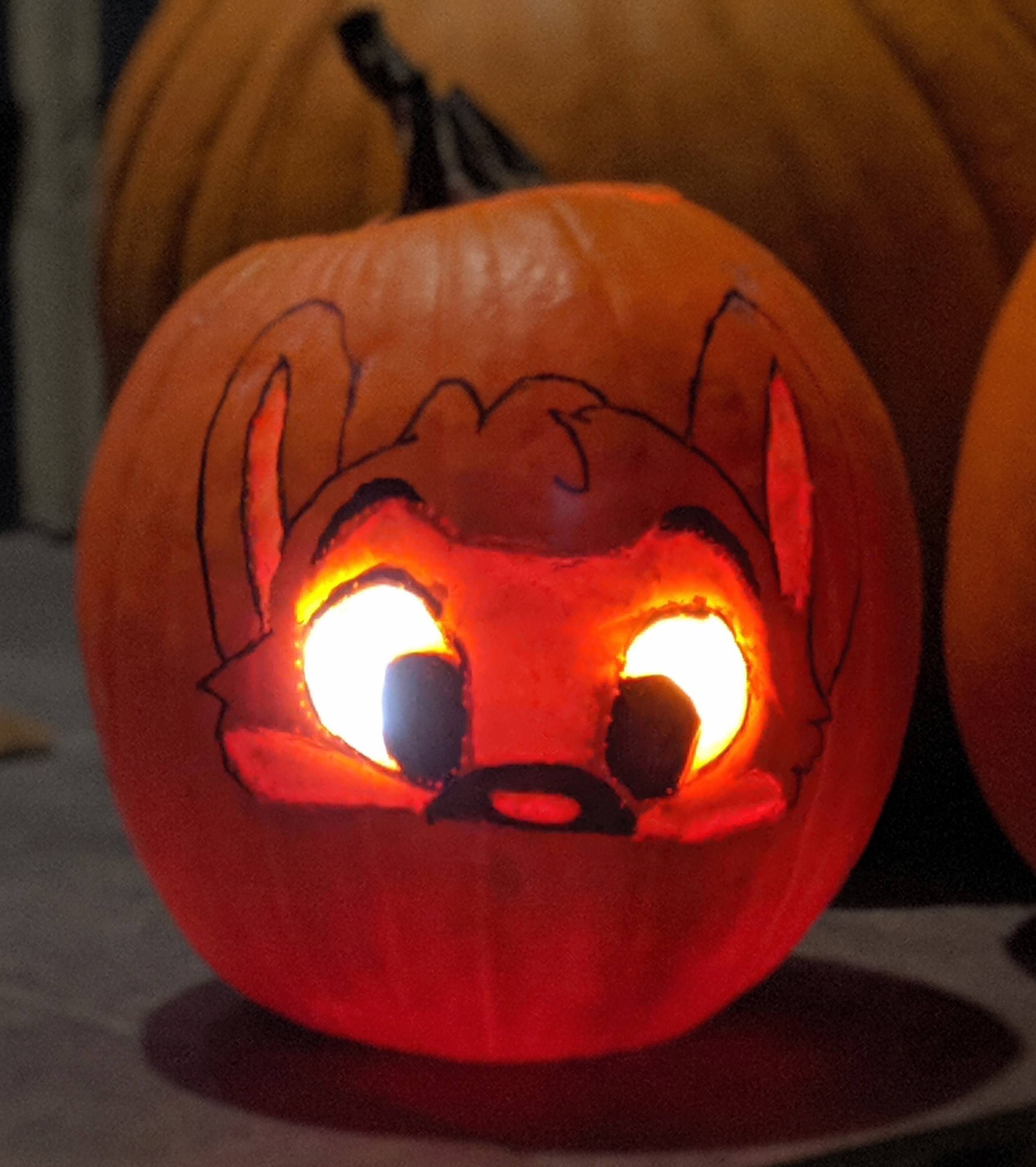 Peek-a-Pumpkin! | Scrolller