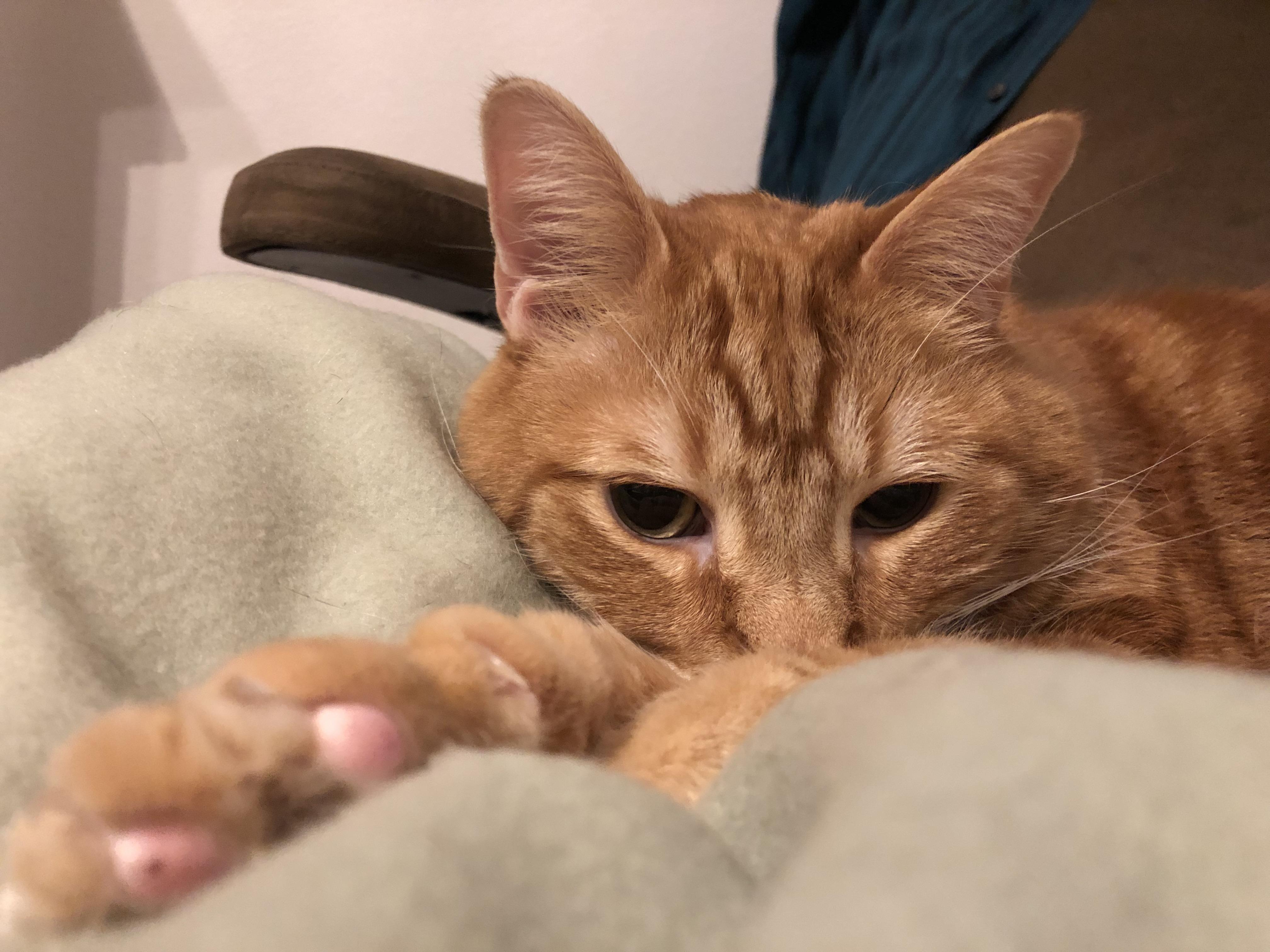 Peeking toe beans | Scrolller