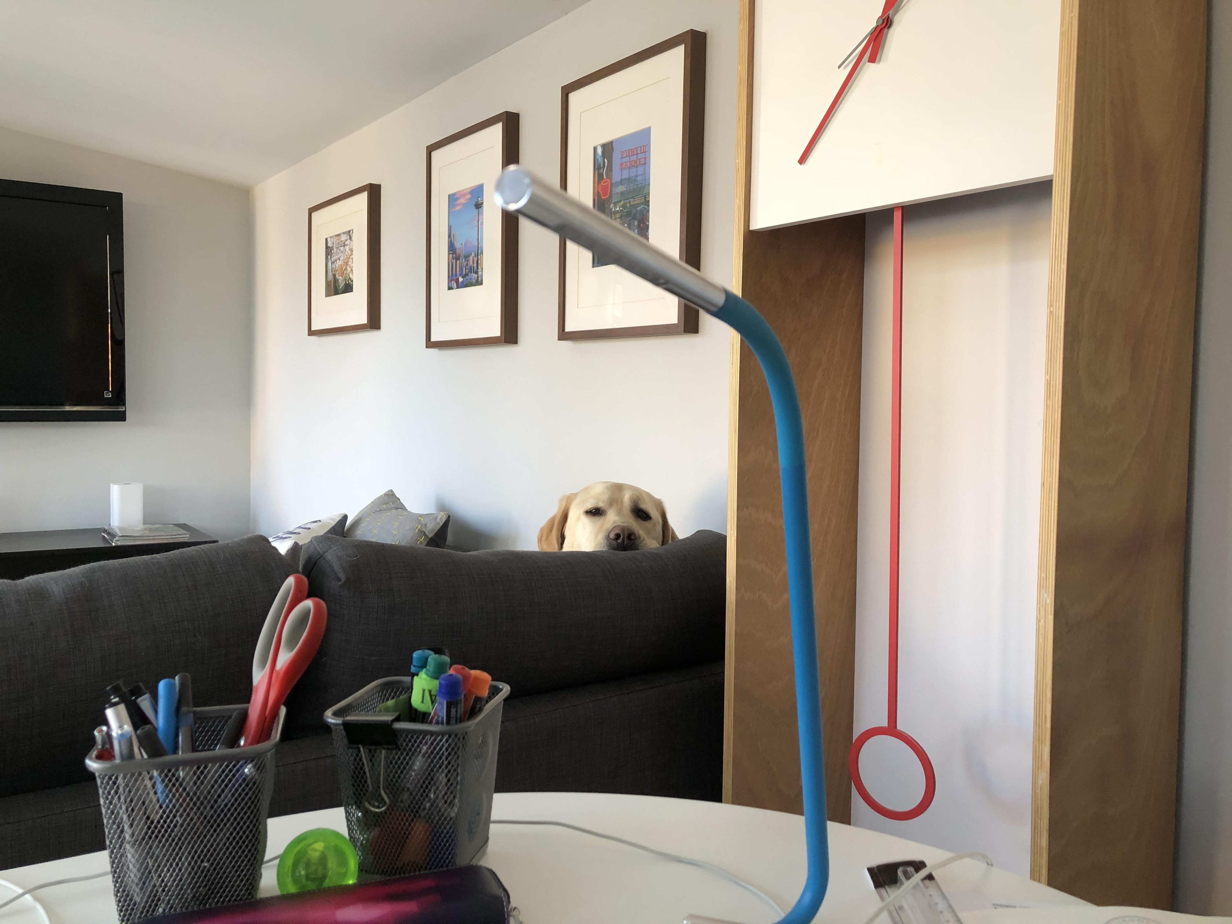 Peeping while working | Scrolller