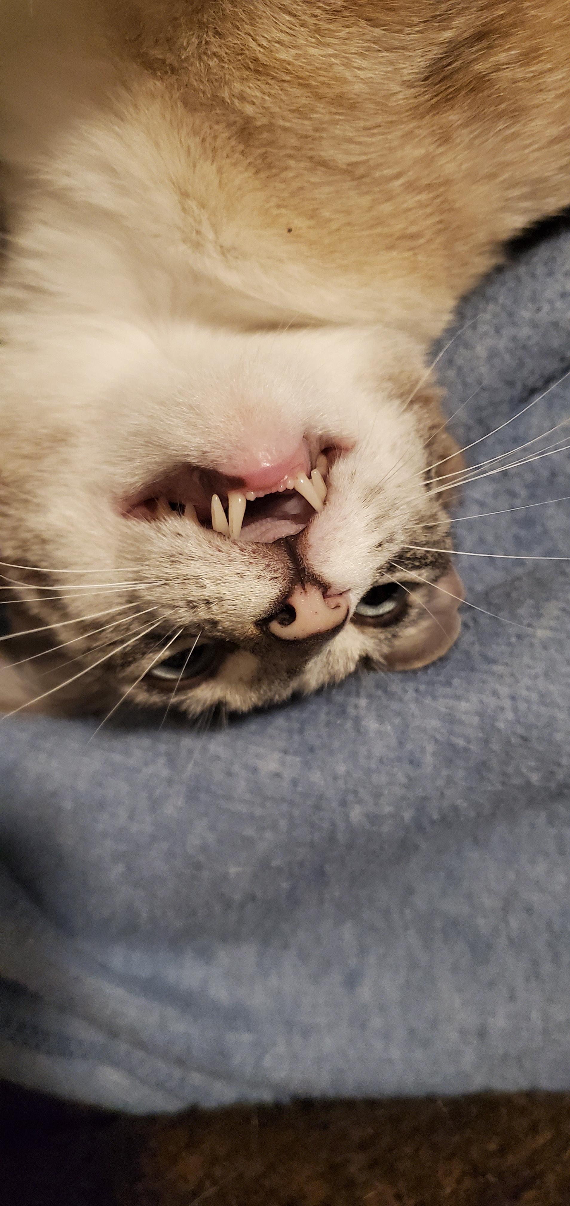 Penny Scrunge | Scrolller