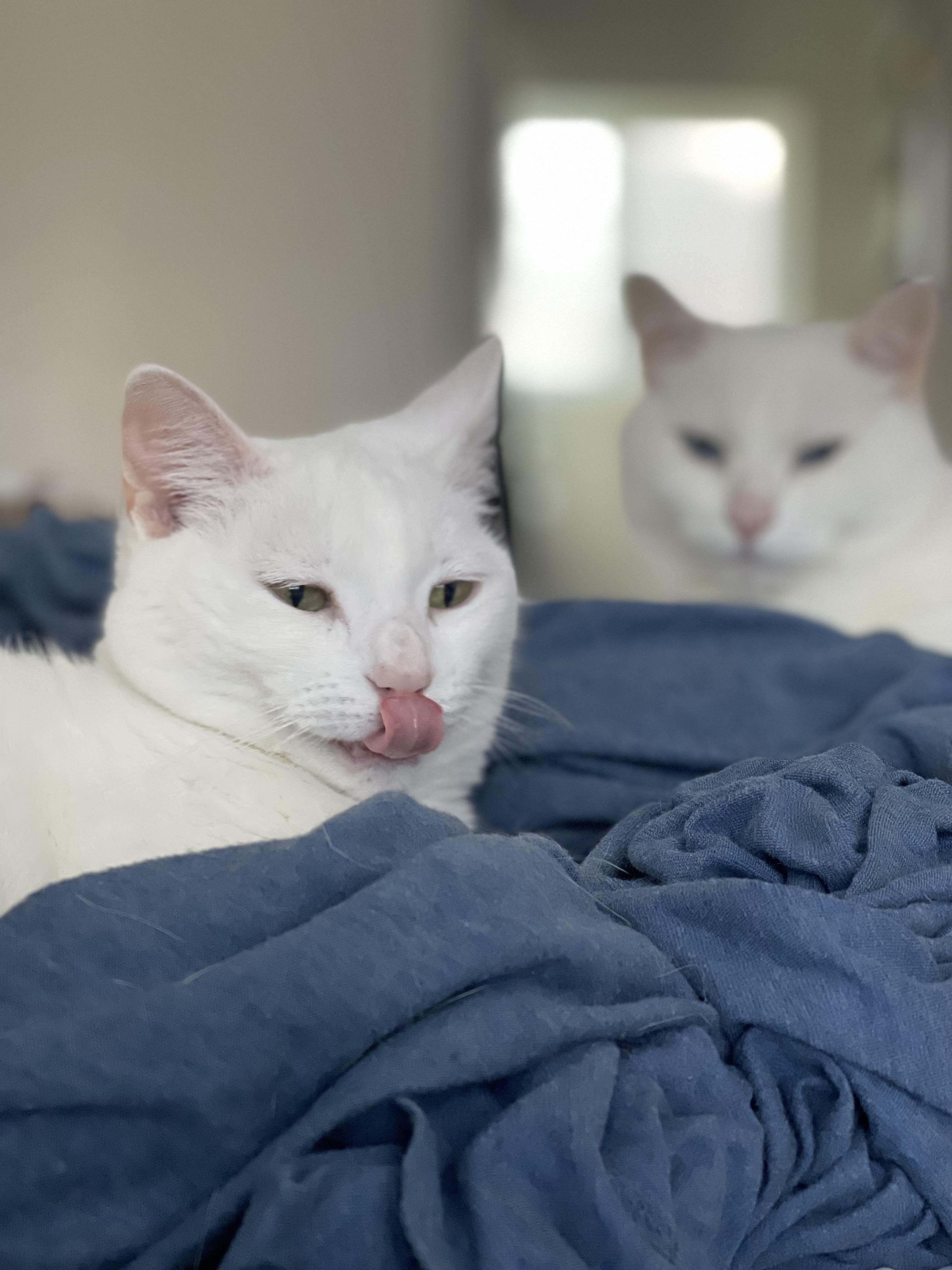 Perfect Candid Derp | Scrolller