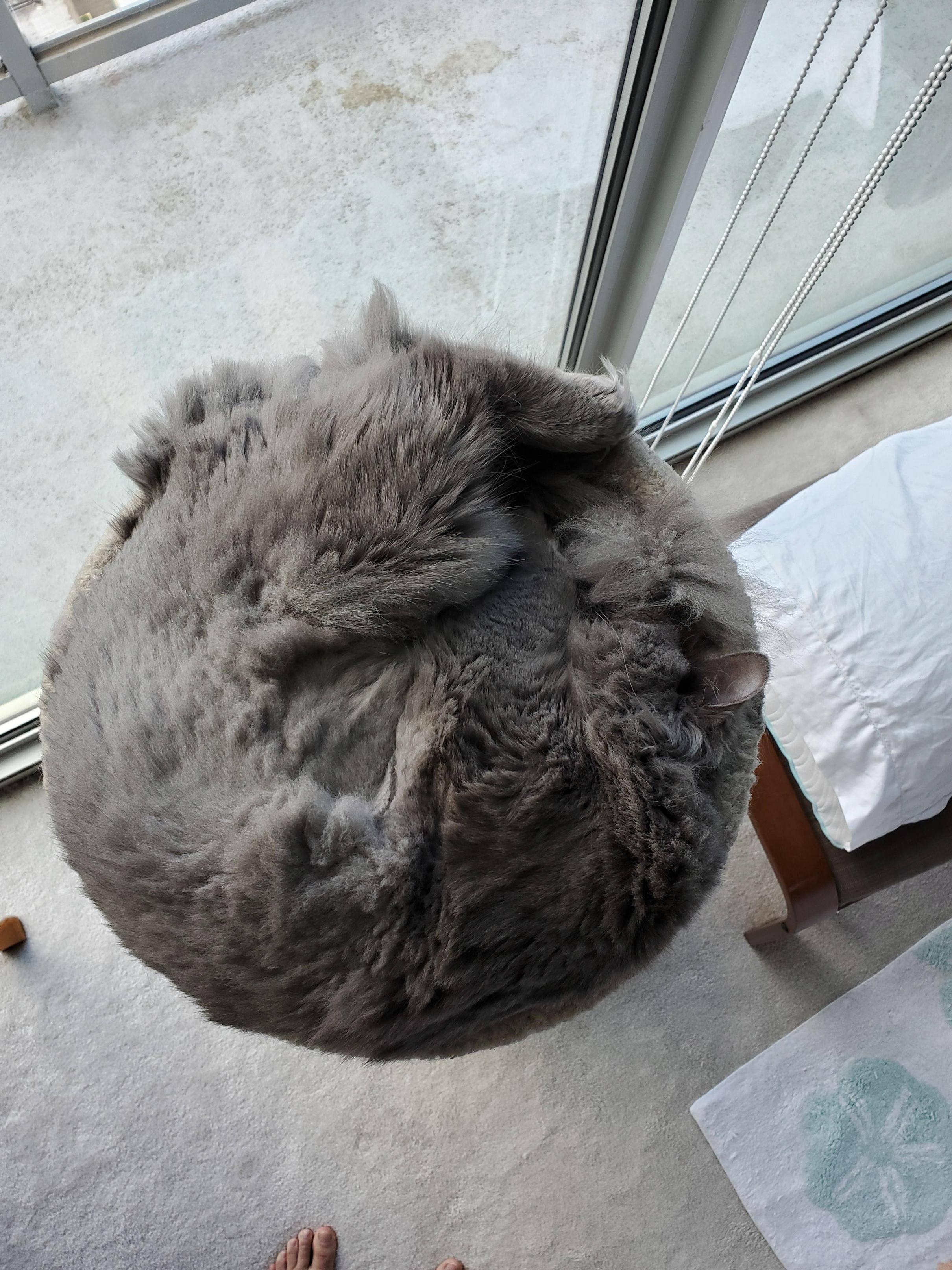 Perfect circular loaf from above | Scrolller