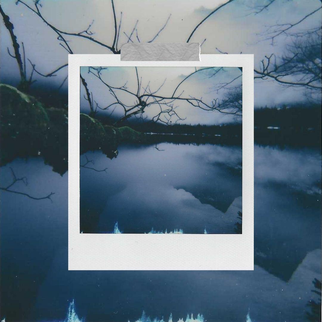 Perfect conditions ☺️ captured with my trusty thrifted polaroid 600! | Scrolller