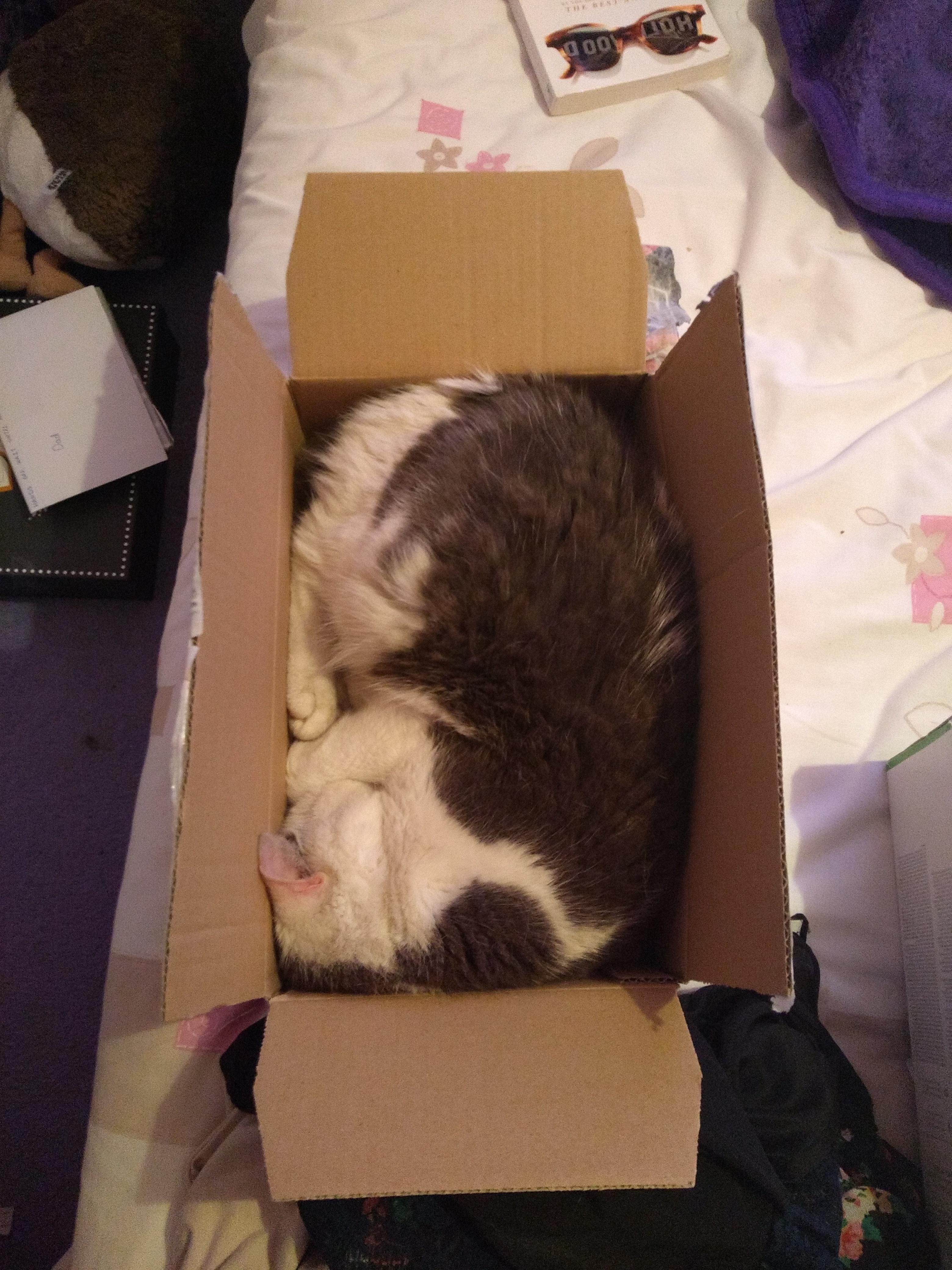 Perfect fit | Scrolller