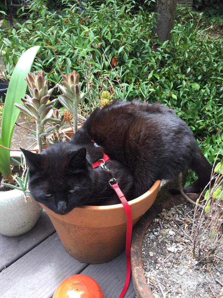 Perfect fit | Scrolller