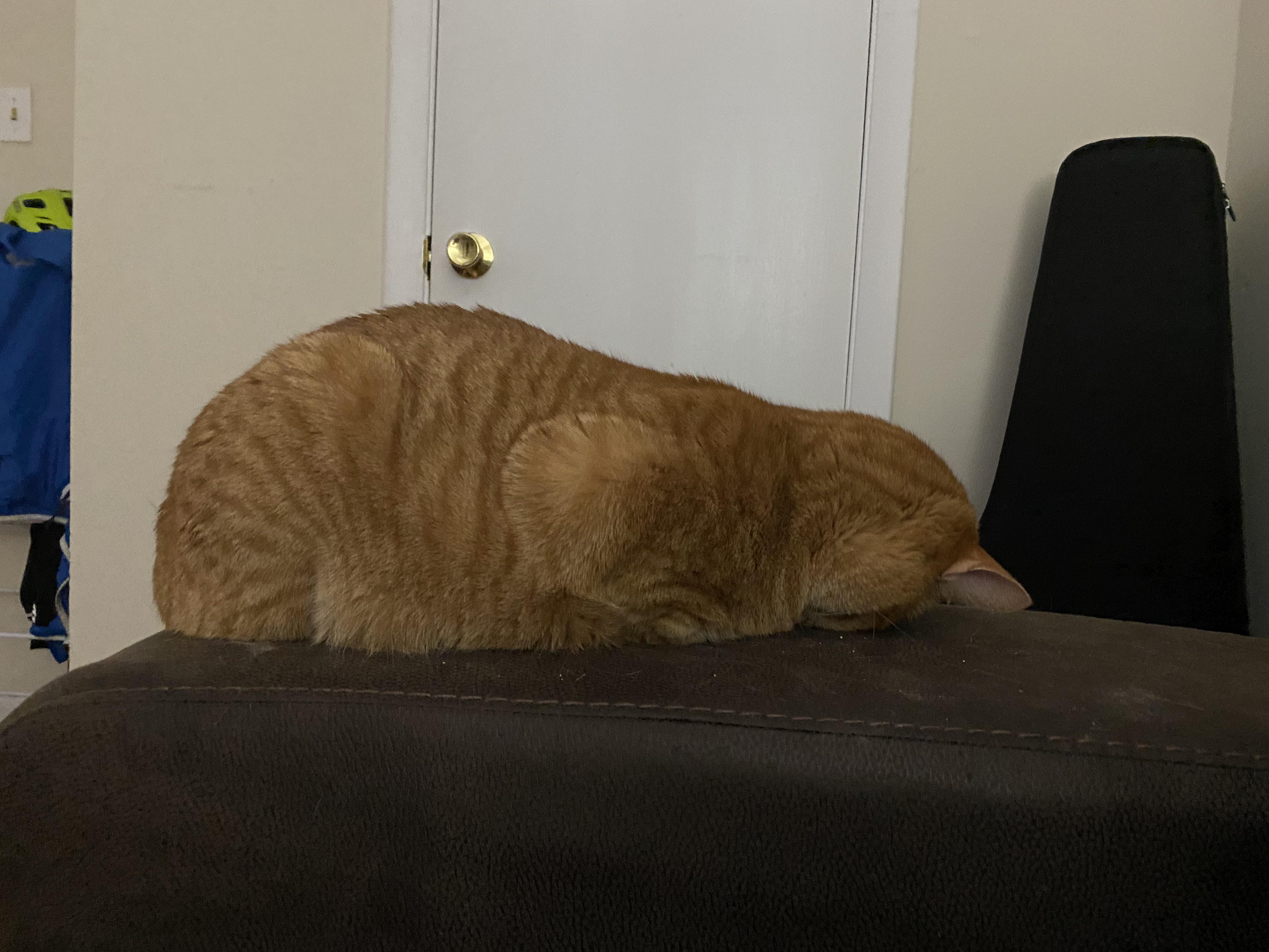 Perfect form | Scrolller