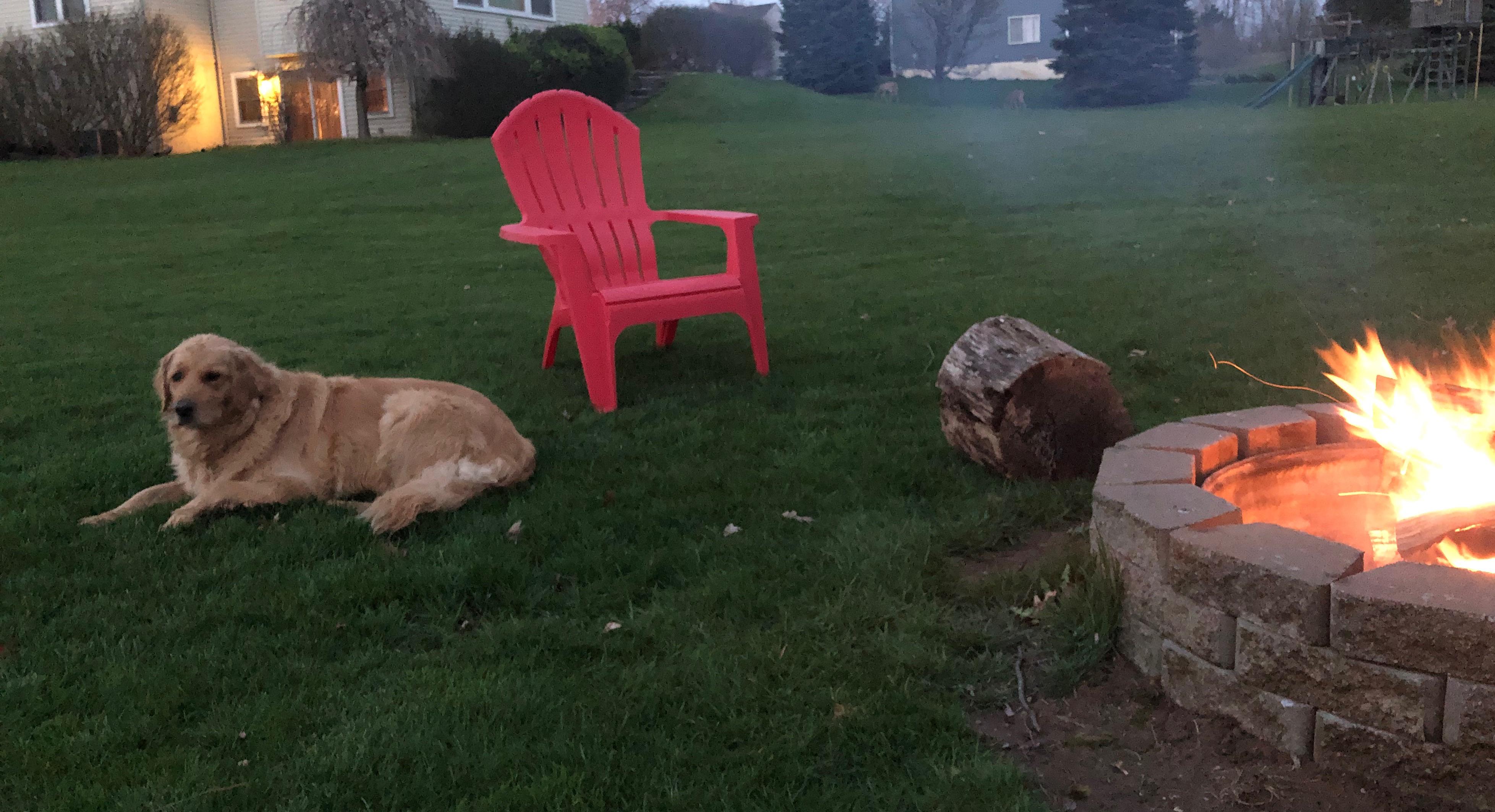 Perfect night for a bonfire 🔥 This is lockdown done right. | Scrolller