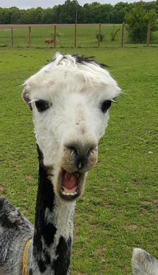 Perfect timing. | Scrolller