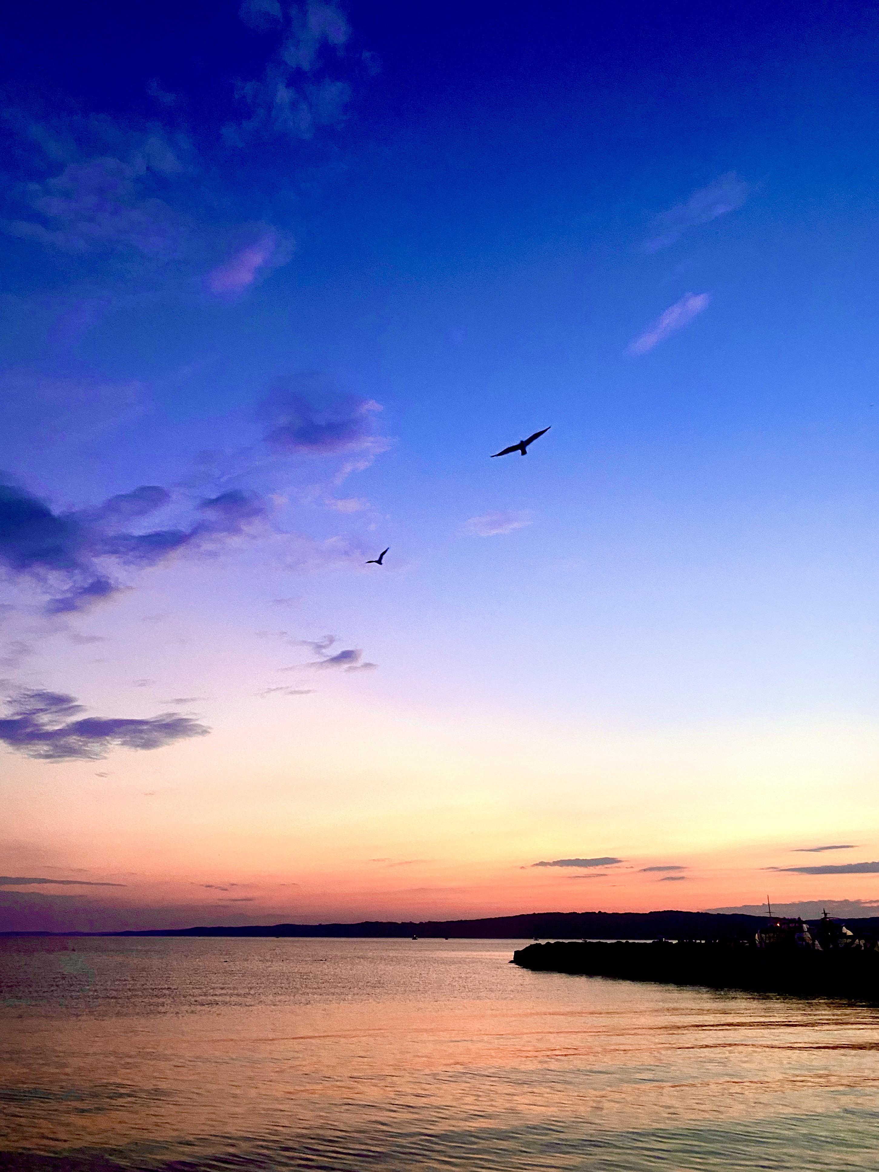 Perfect timing ☀️ | Scrolller