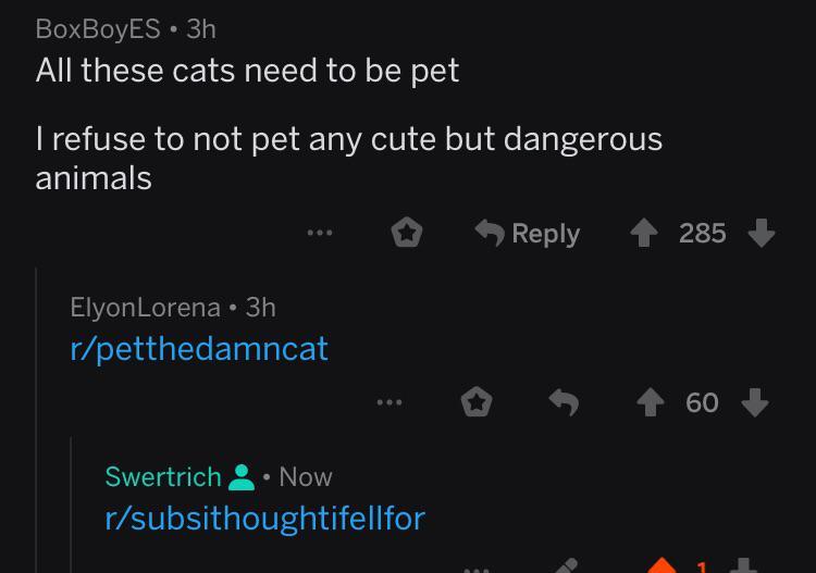 pet. the. damn. cat. | Scrolller