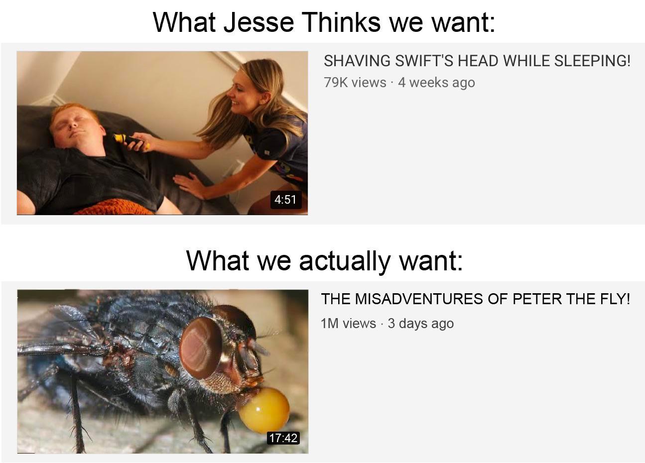 Peter the Fly series when? | Scrolller