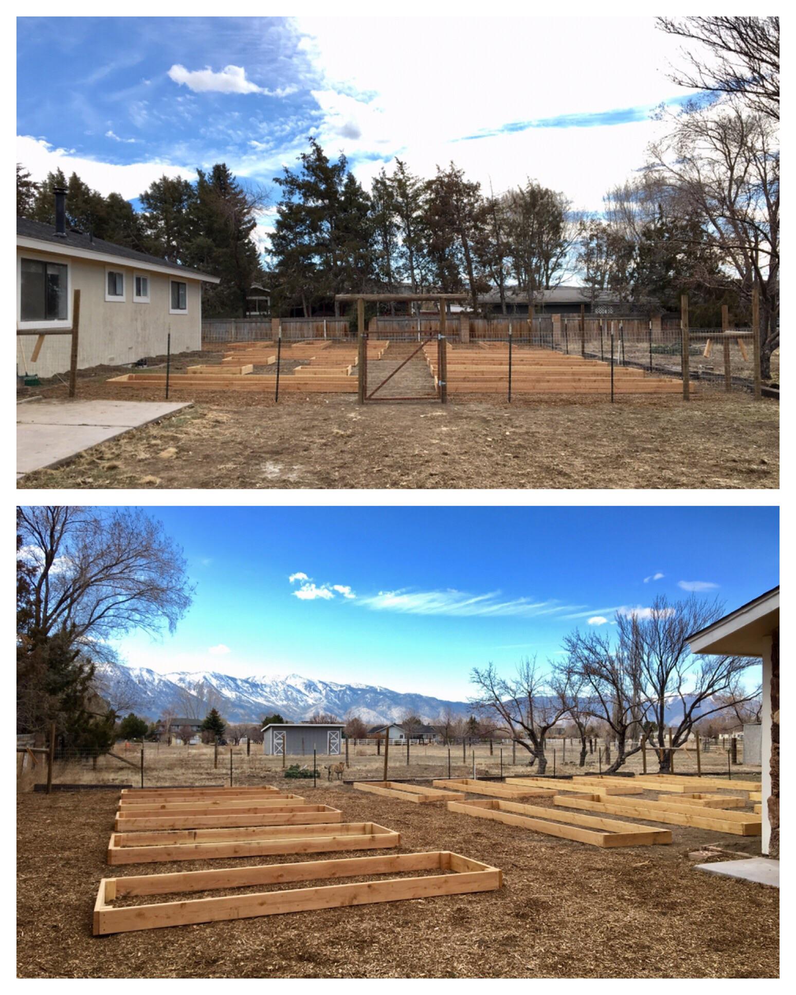 Phase 2 of our lawn to food garden conversion complete! | Scrolller