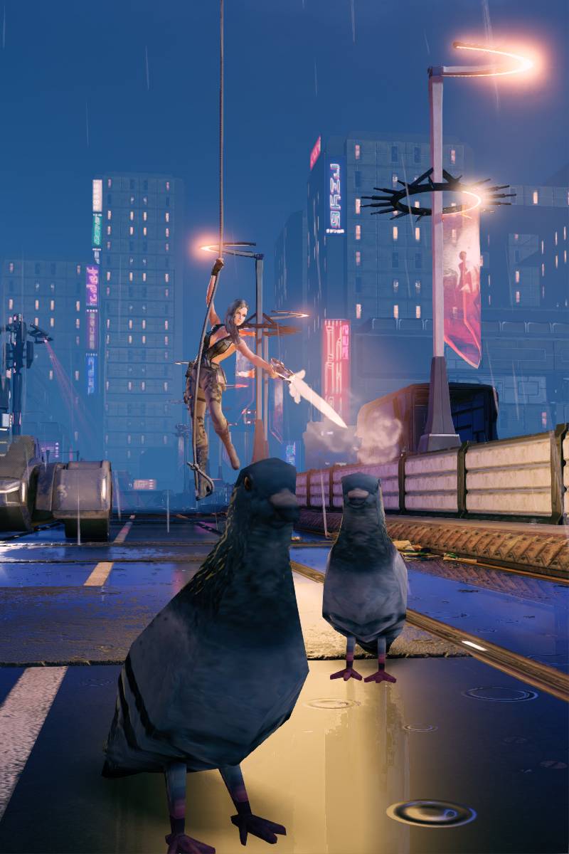 Photo-bombed by pigeons | Scrolller