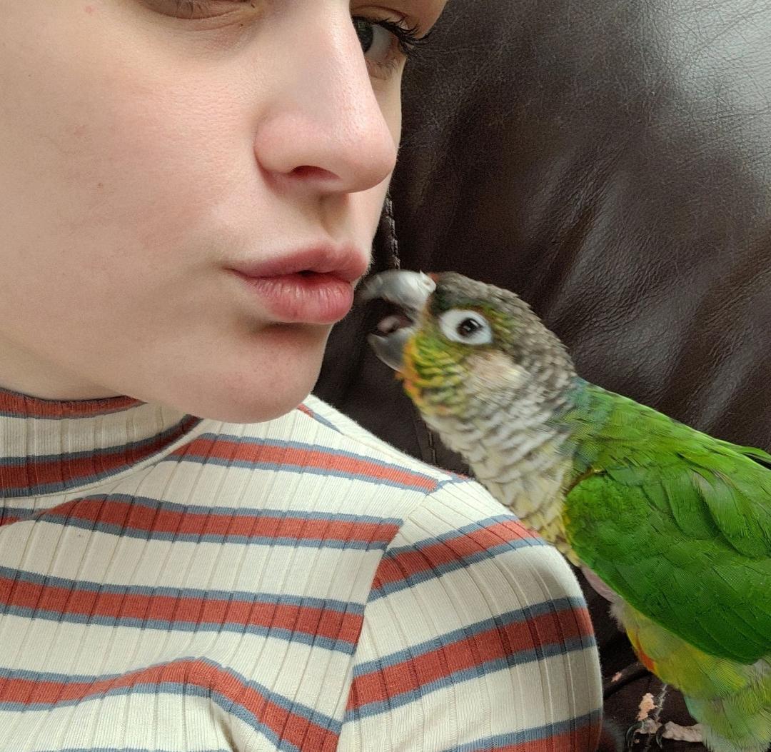 Photos taken seconds before tragedy... I wanted a kiss but George wanted blood | Scrolller