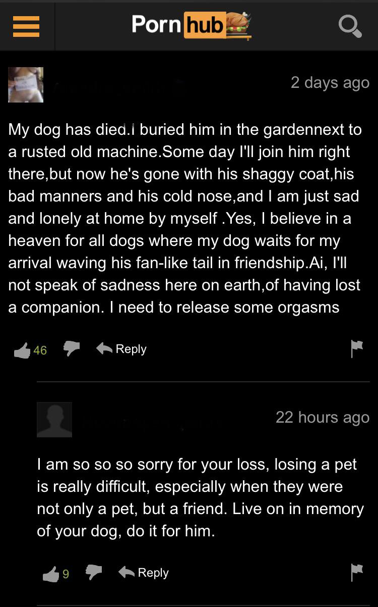 Phub comments | Scrolller