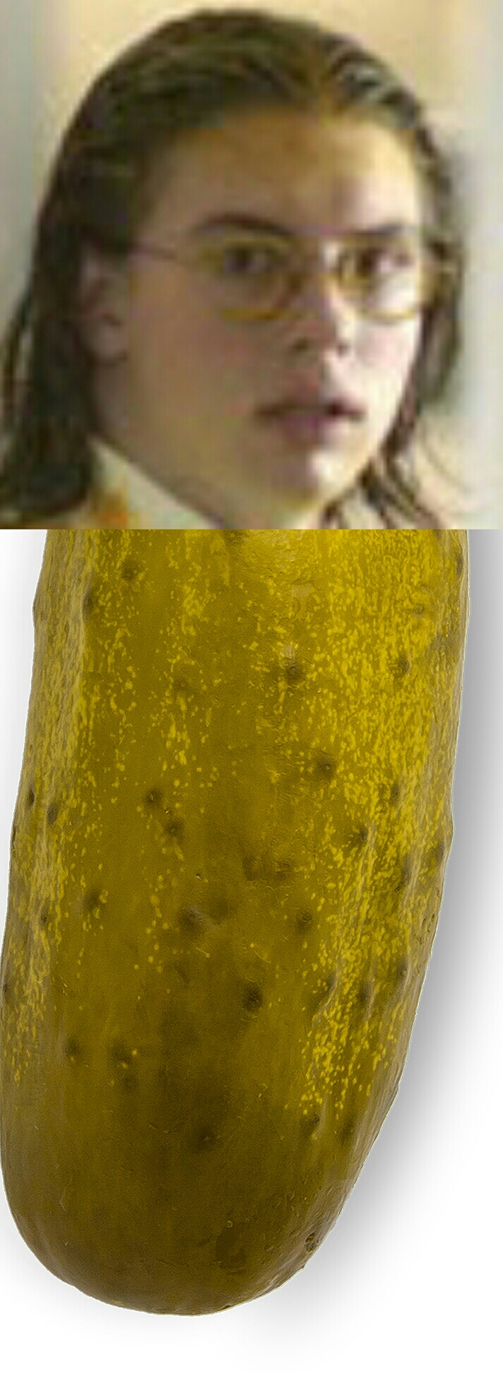 Pickle Rick | Scrolller