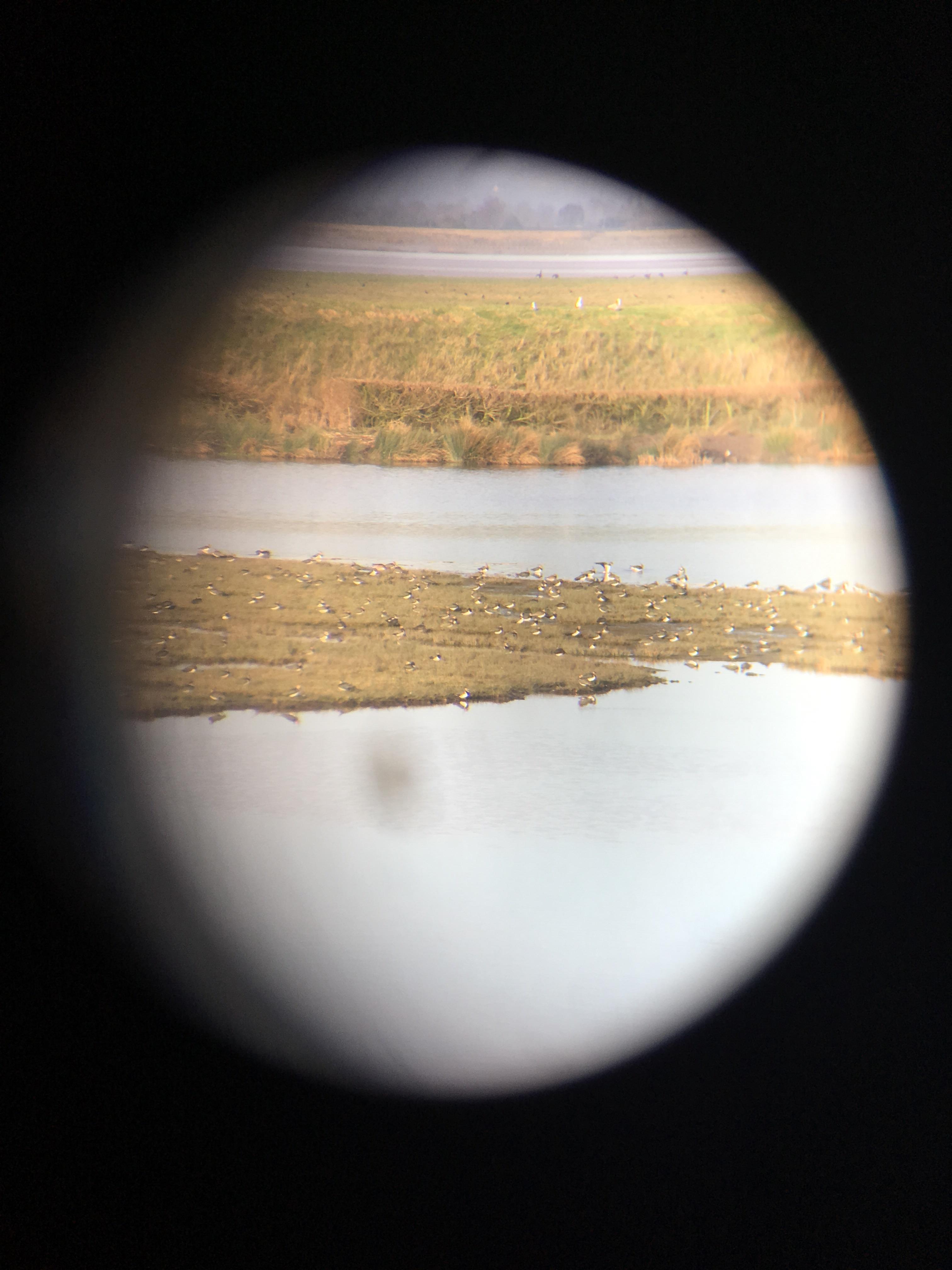 Picture of Jupiter | Scrolller