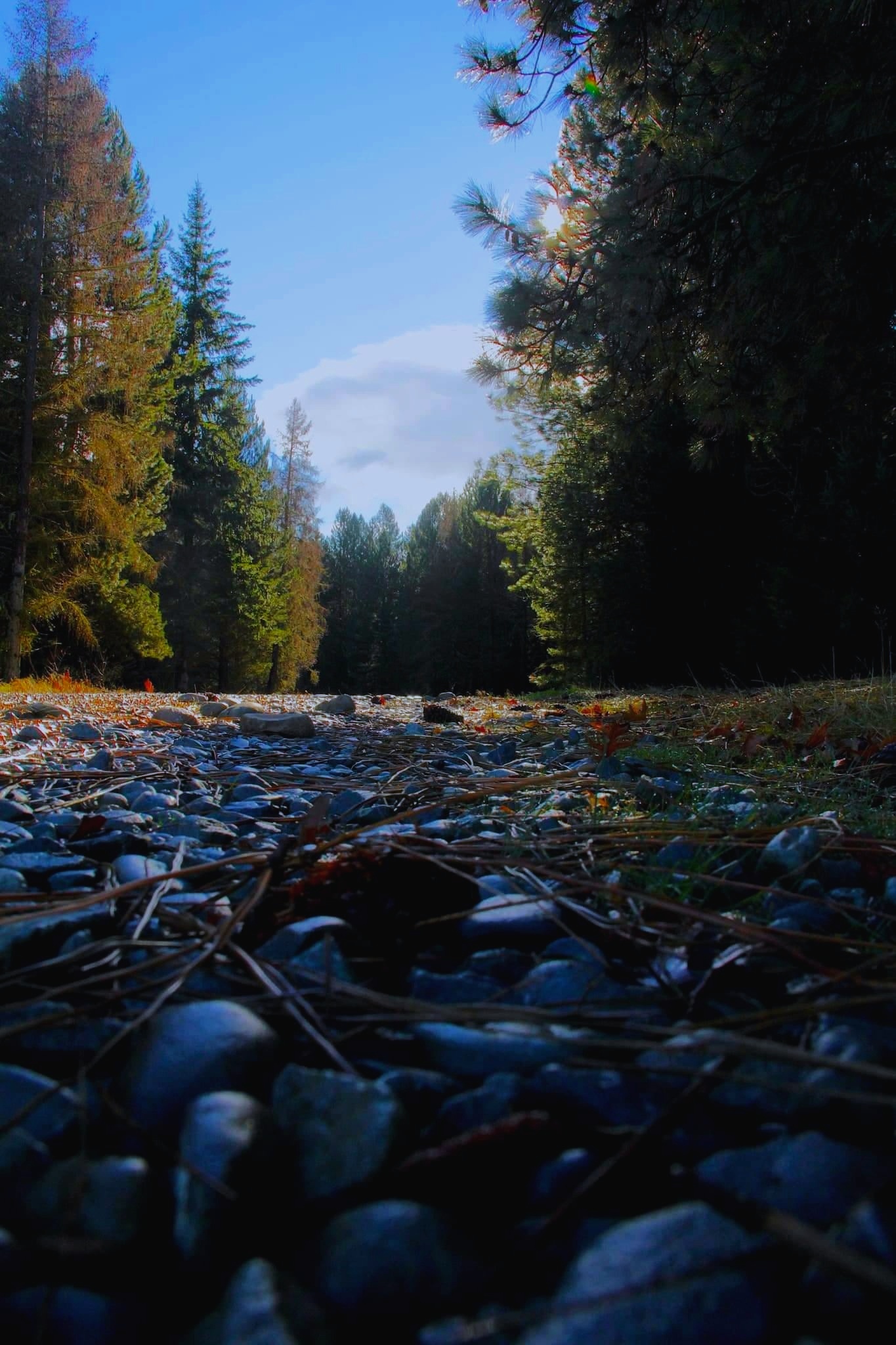 Pigeon Bay, New Zealand (1365x2048) [OC] | Scrolller