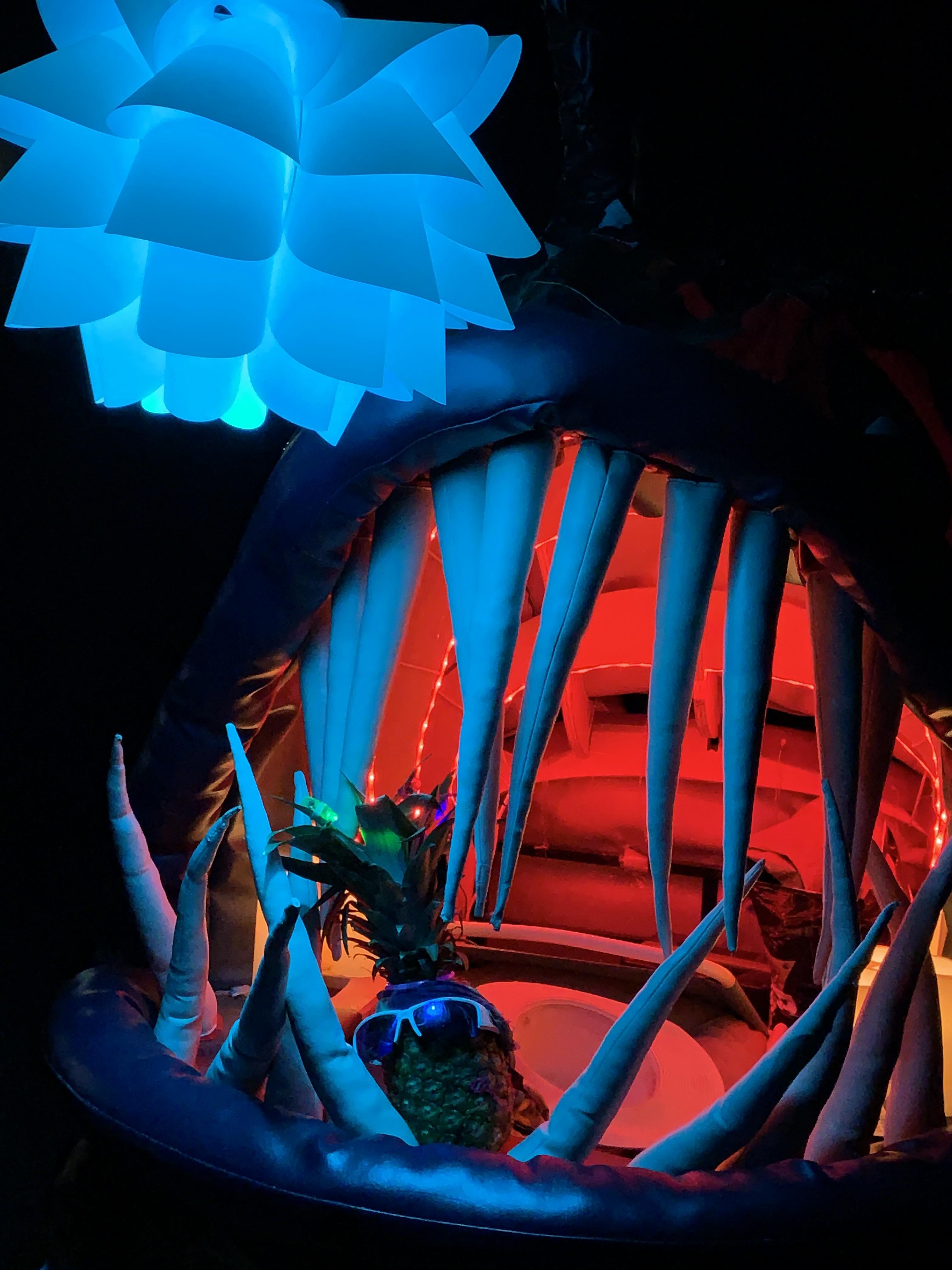 Pineapple | Scrolller