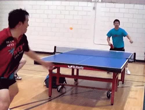 Ping-Pong shot of the Day! | Scrolller