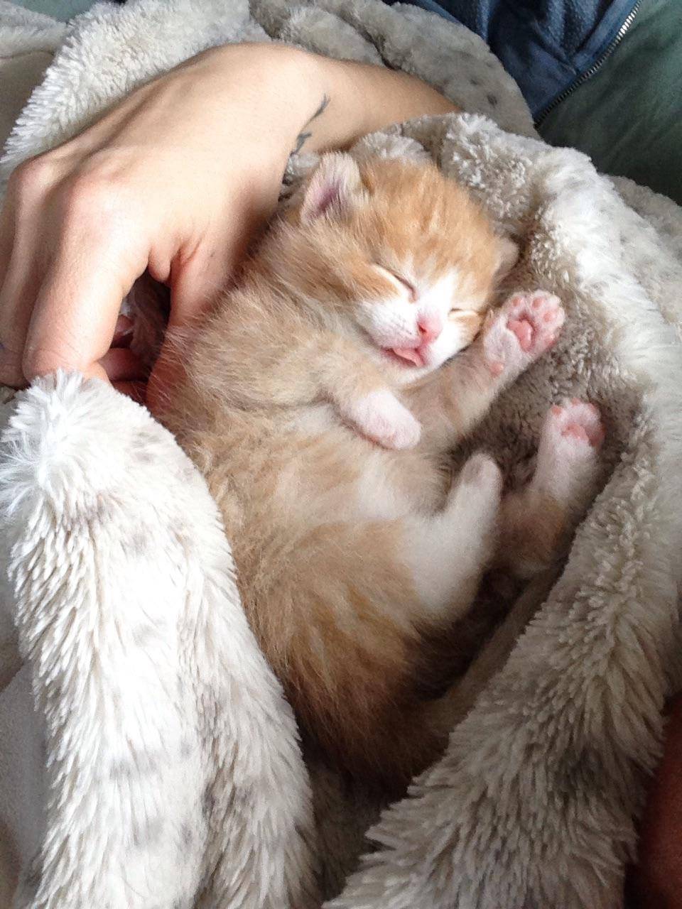 Pink baby beans | Scrolller