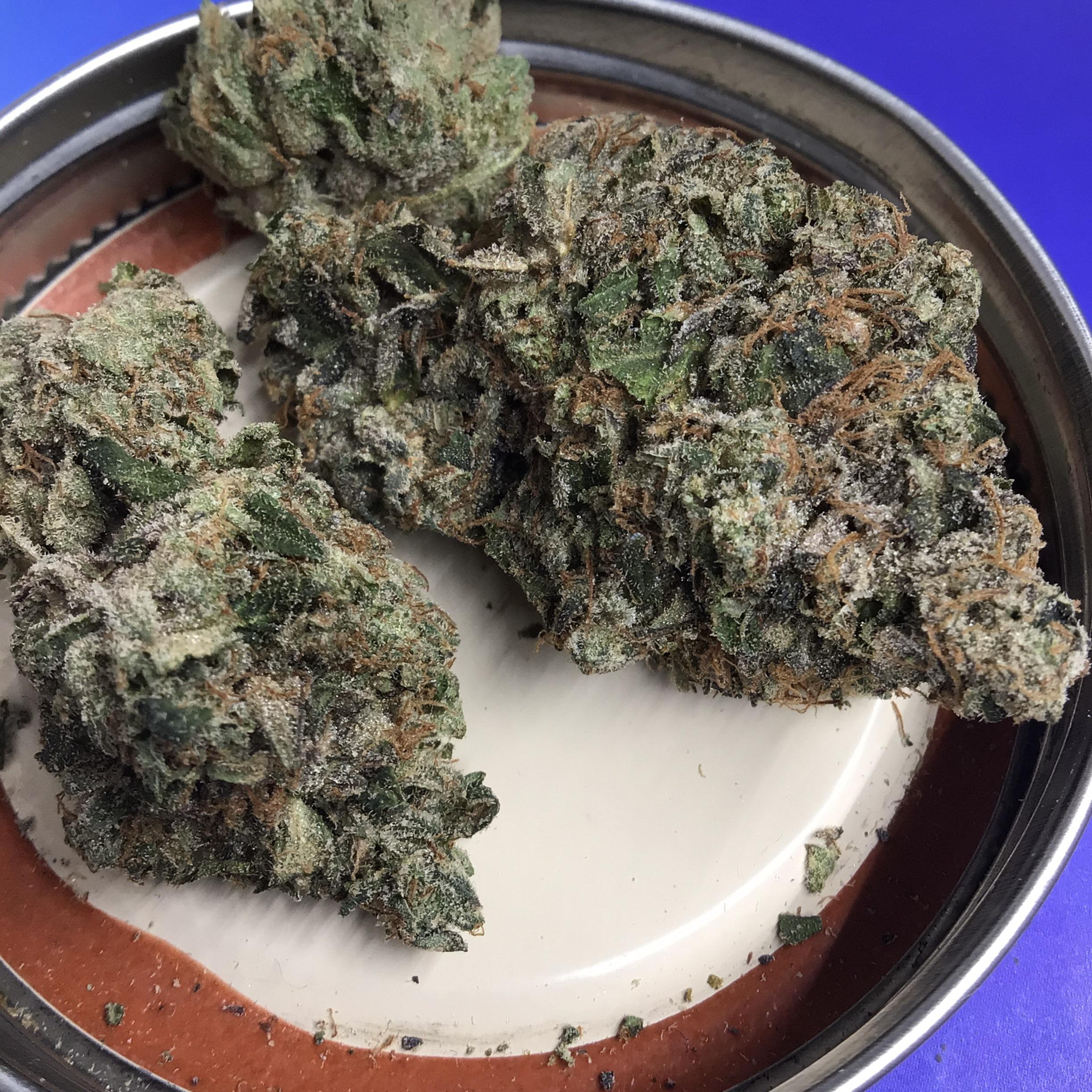 Pink Beard (Pink Kush x Bubba) | Scrolller