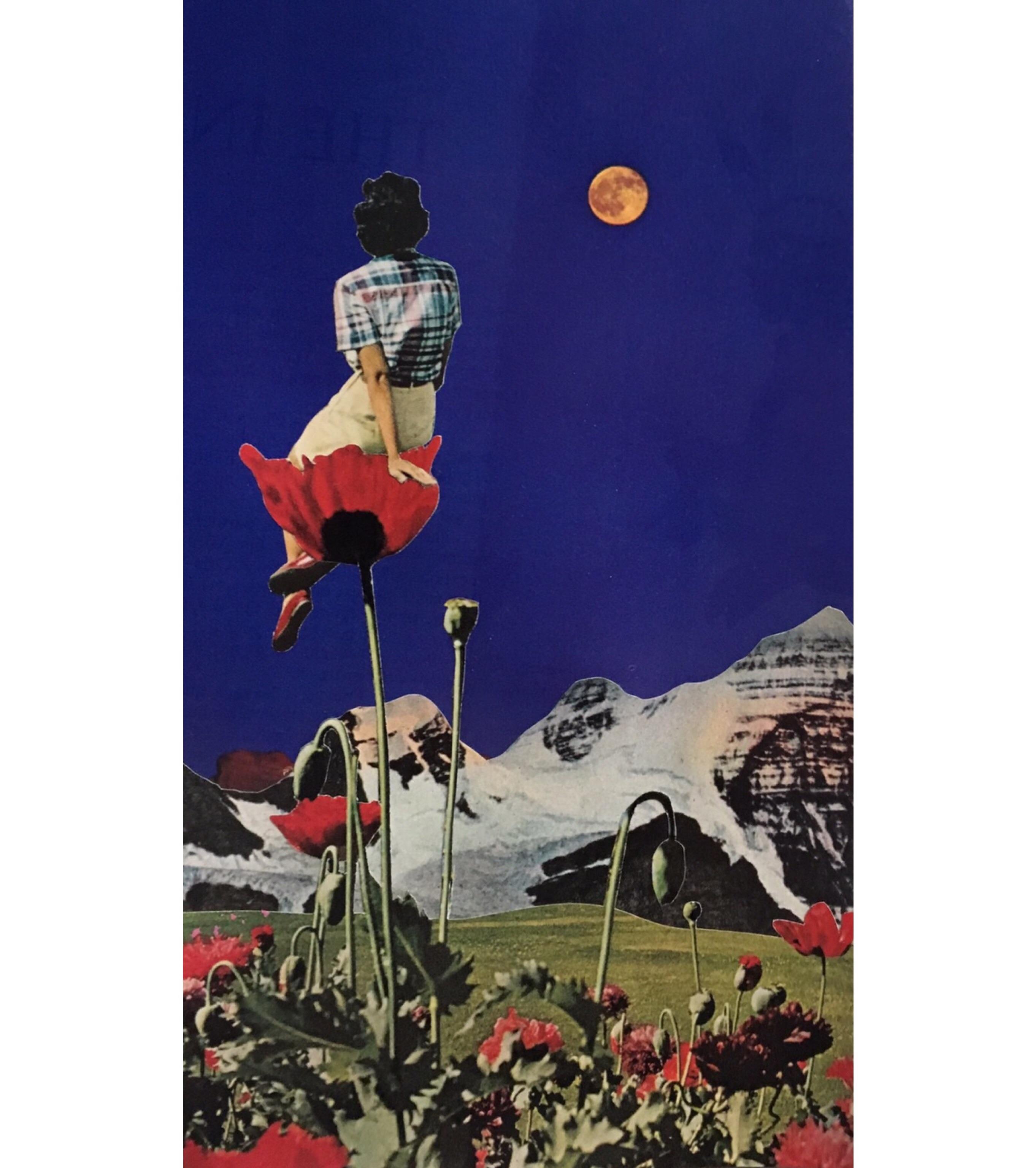 pink moon [analog] | Scrolller