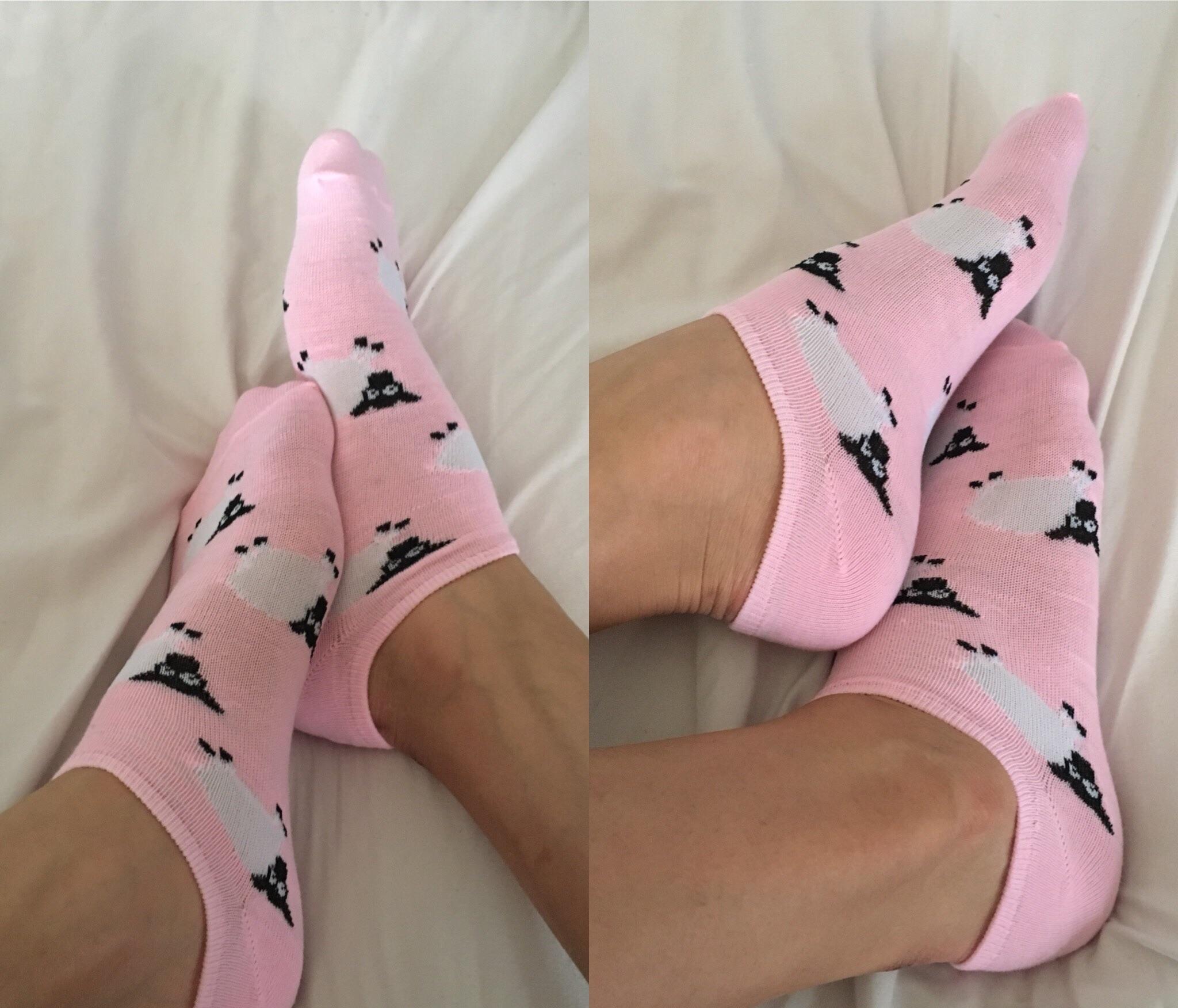 Pink sheep | Scrolller