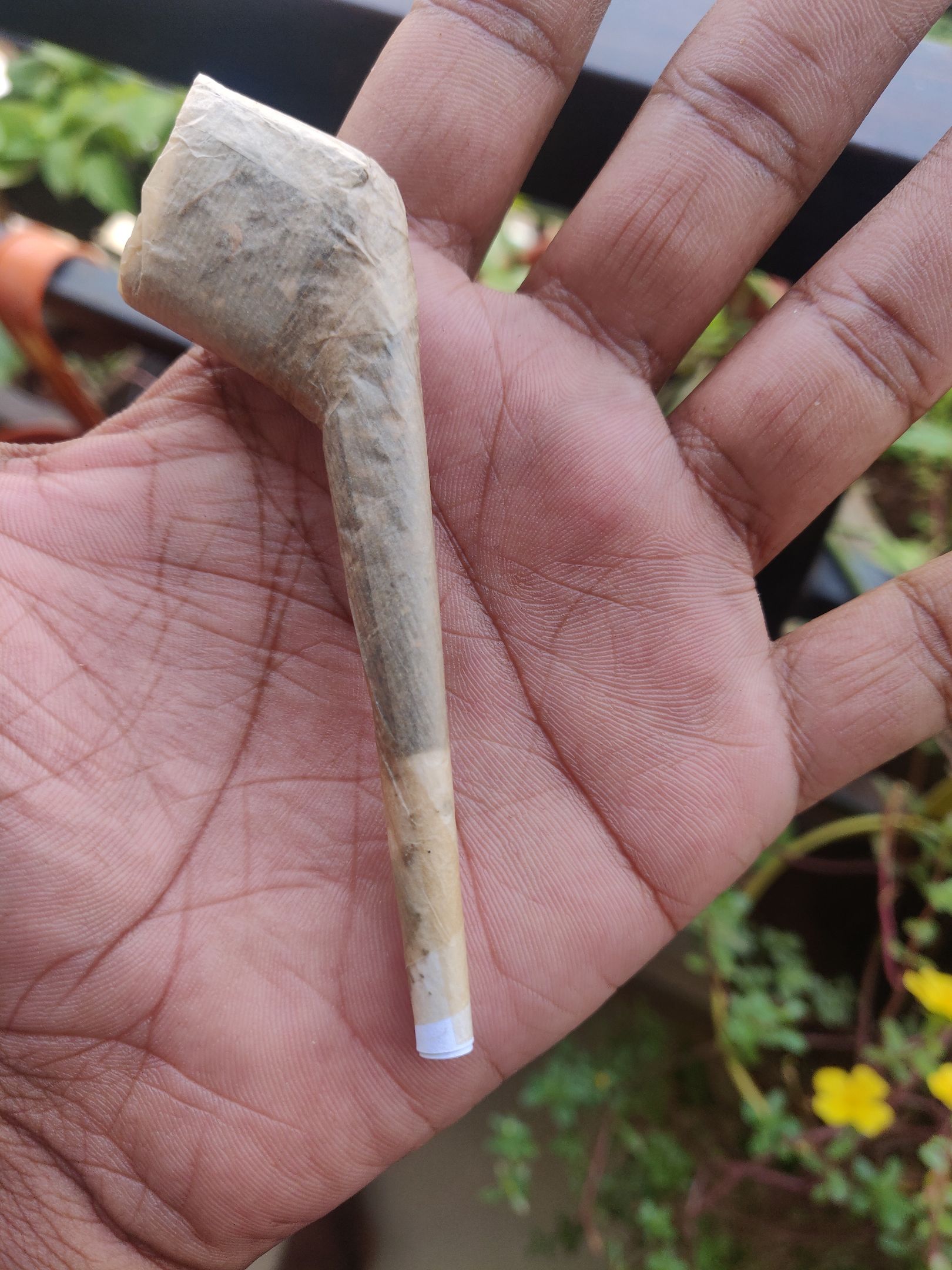 Pipe👽 | Scrolller