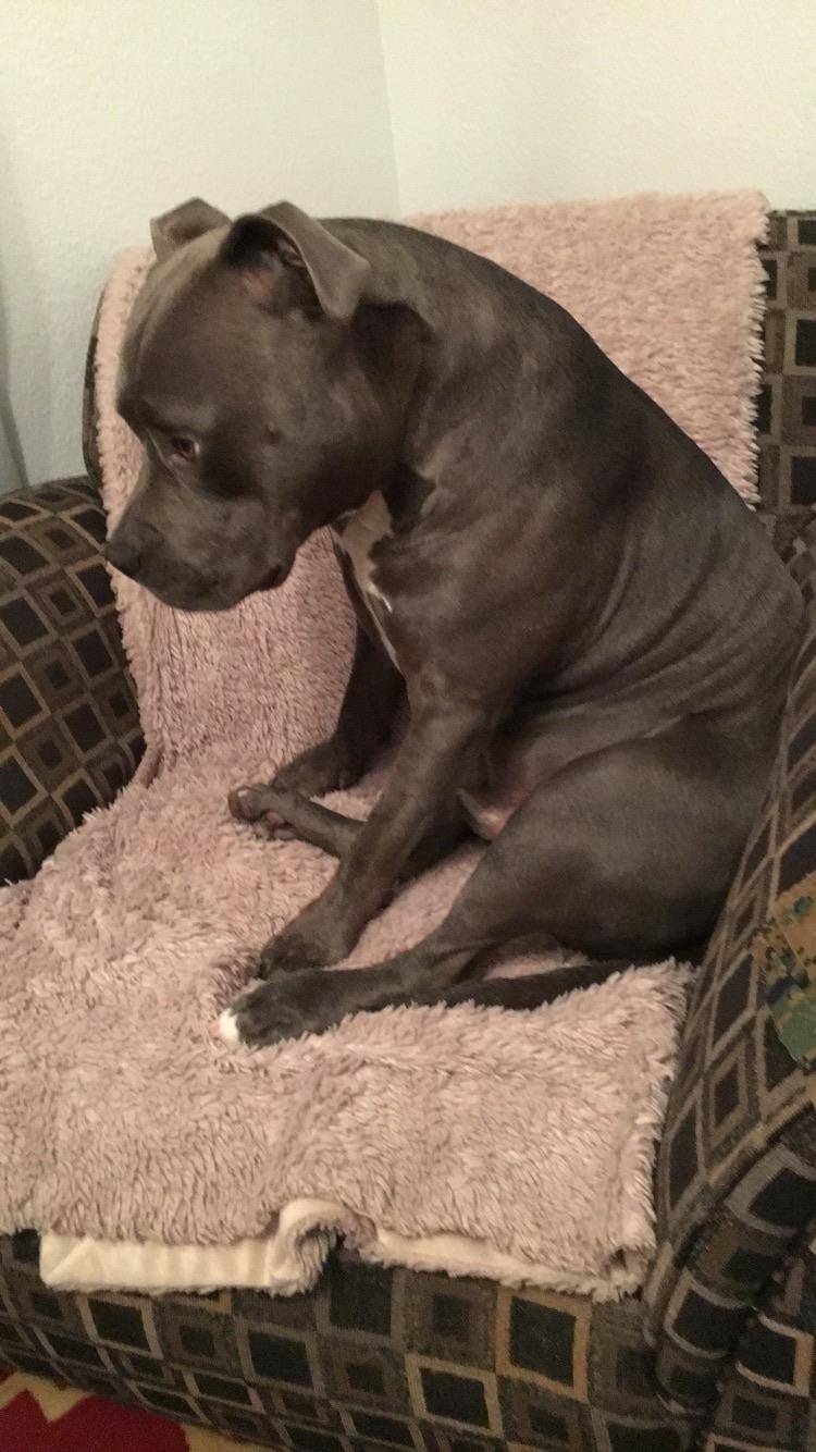 Pit sit - Eeyore edition | Scrolller