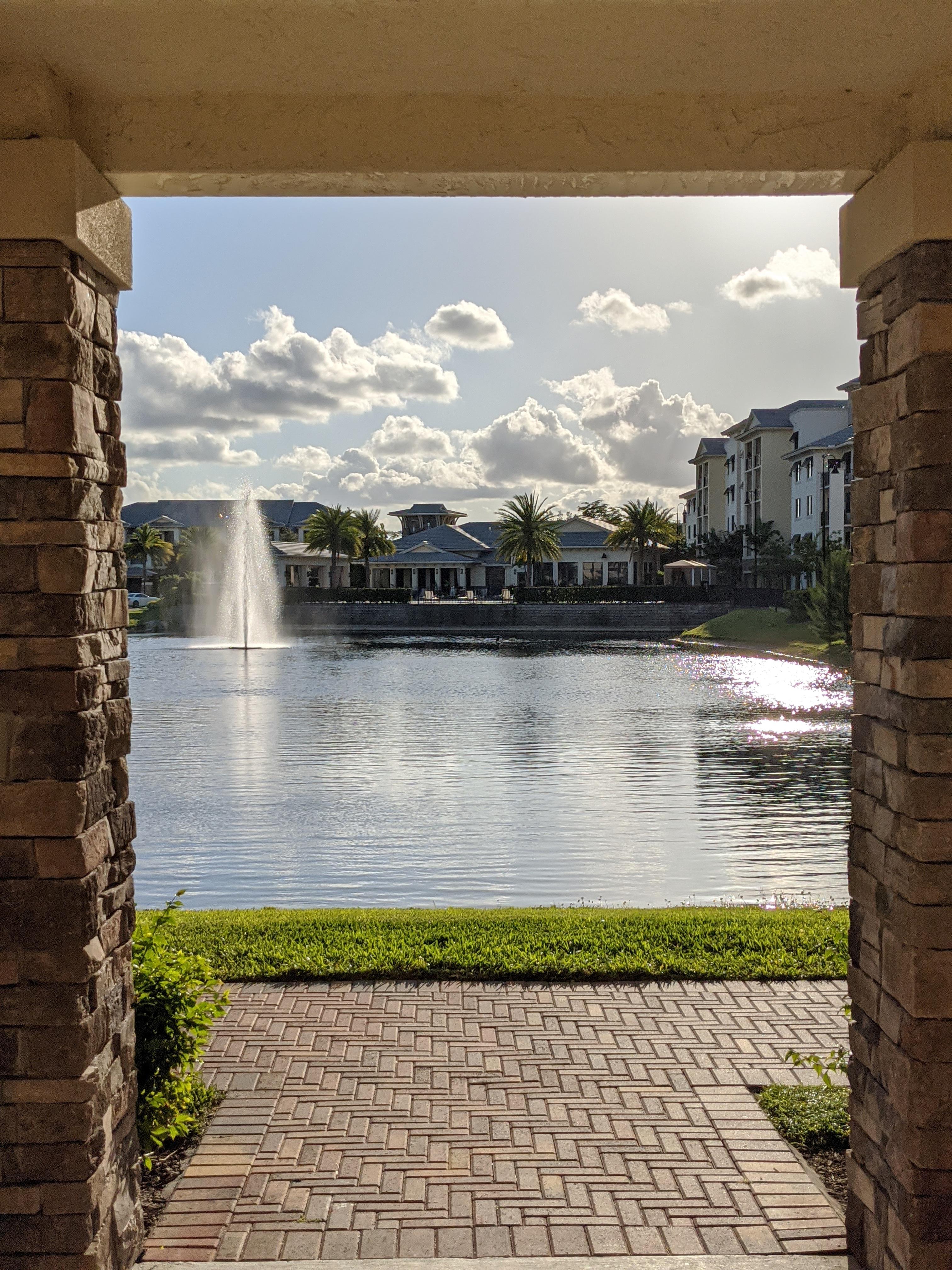 Pixel 4 XL | Scrolller