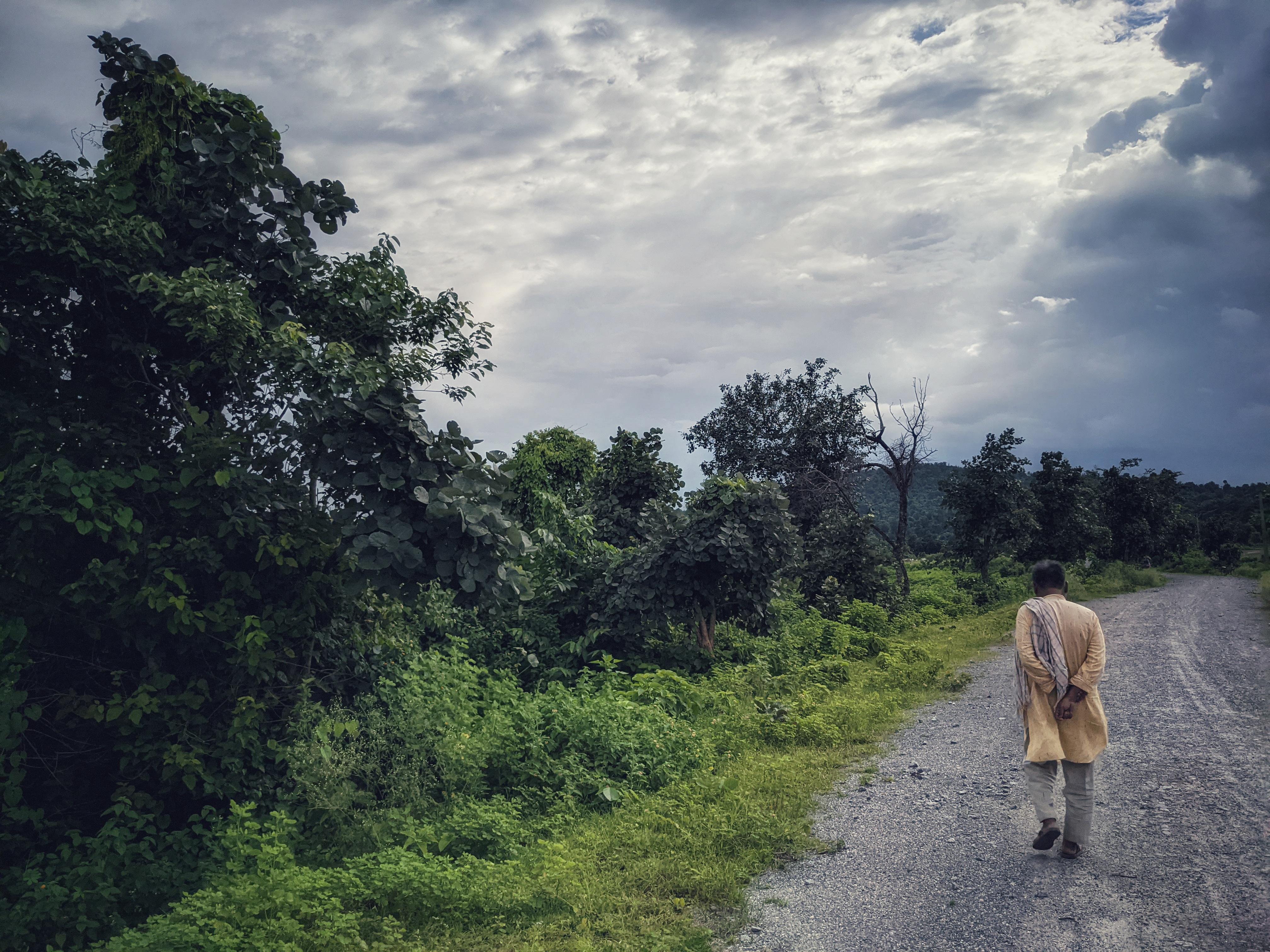 Pixel 4a, National forest - India, Snapseed | Scrolller