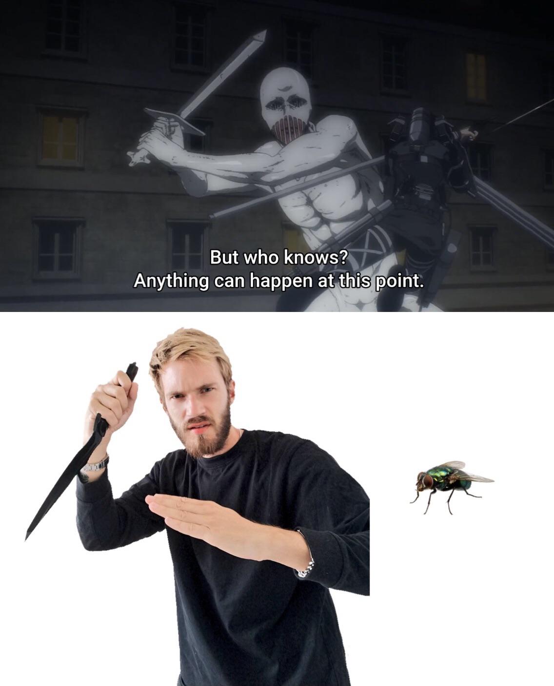 Plan: Attack a small, flying object with a thin blade. IQ 200. | Scrolller