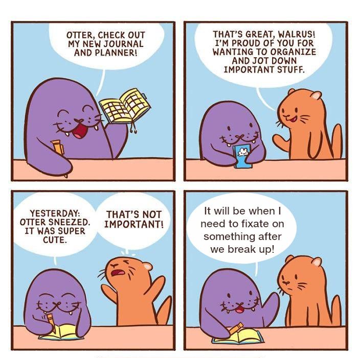 Plan for the future | Scrolller