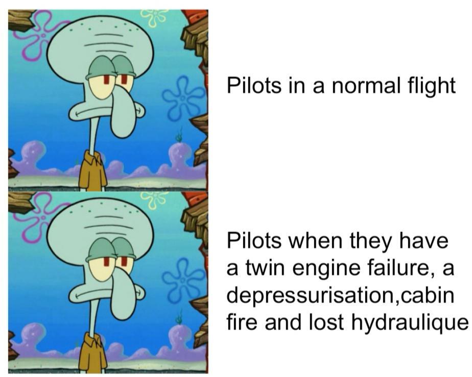 Plane problems | Scrolller