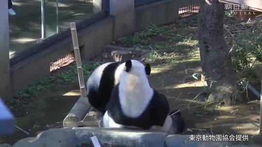 Play with me! | Scrolller