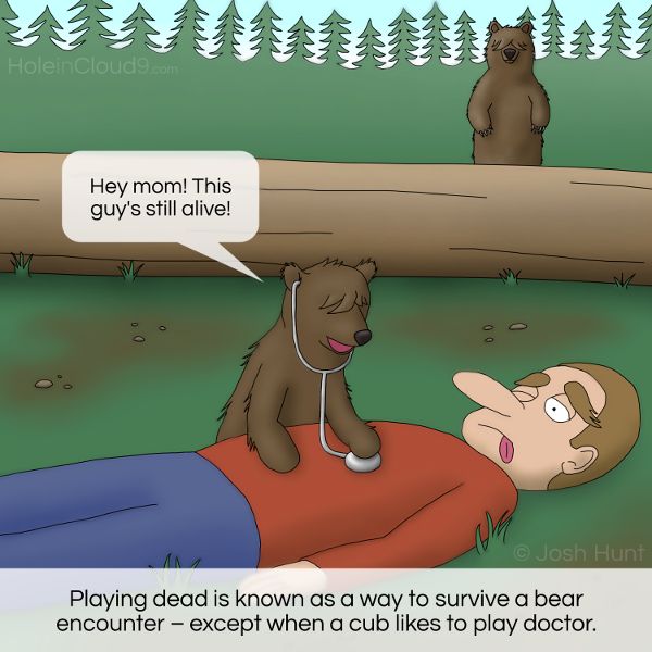 Playing dead with bears [OC] | Scrolller