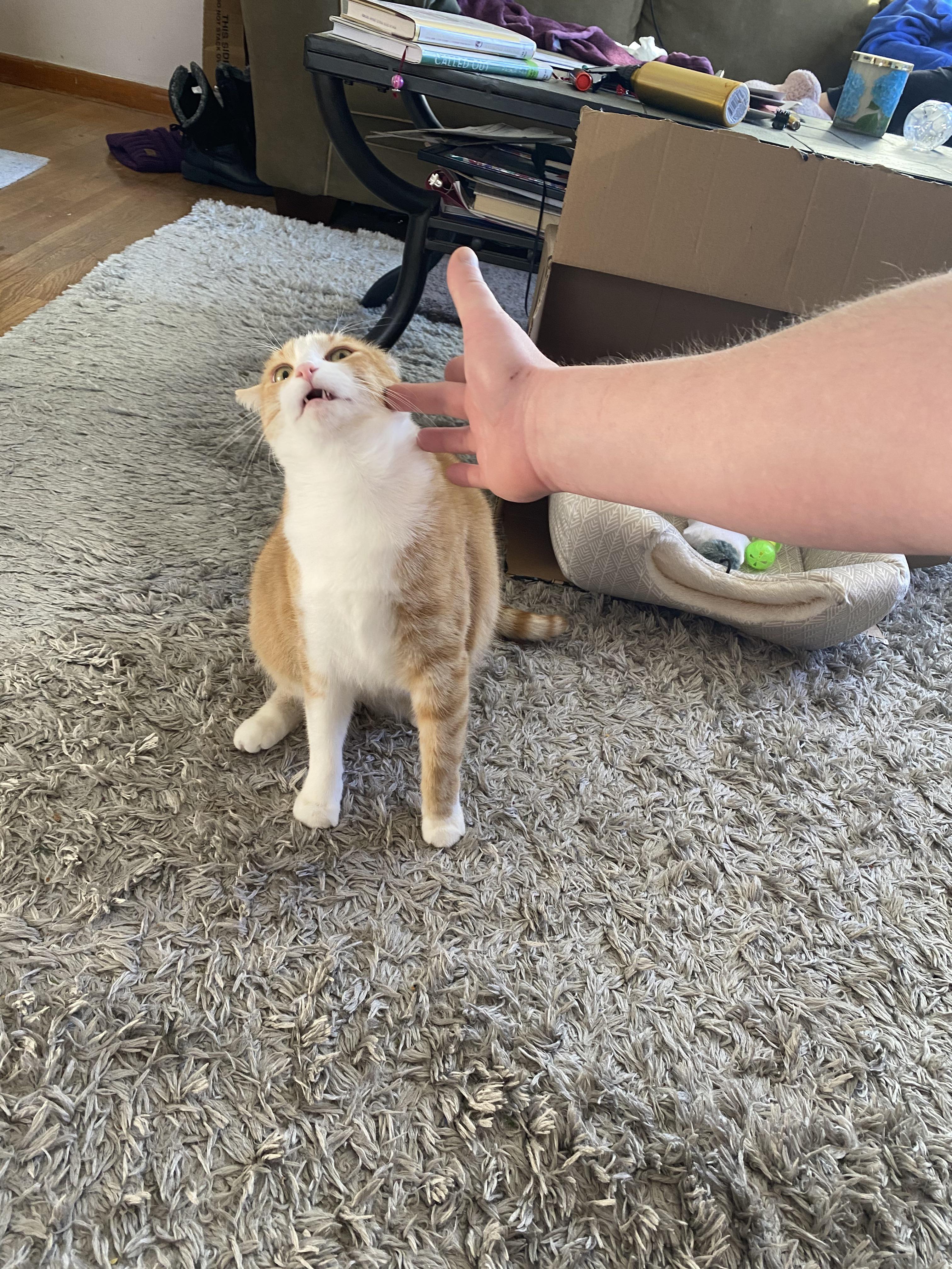 Please do not touch | Scrolller