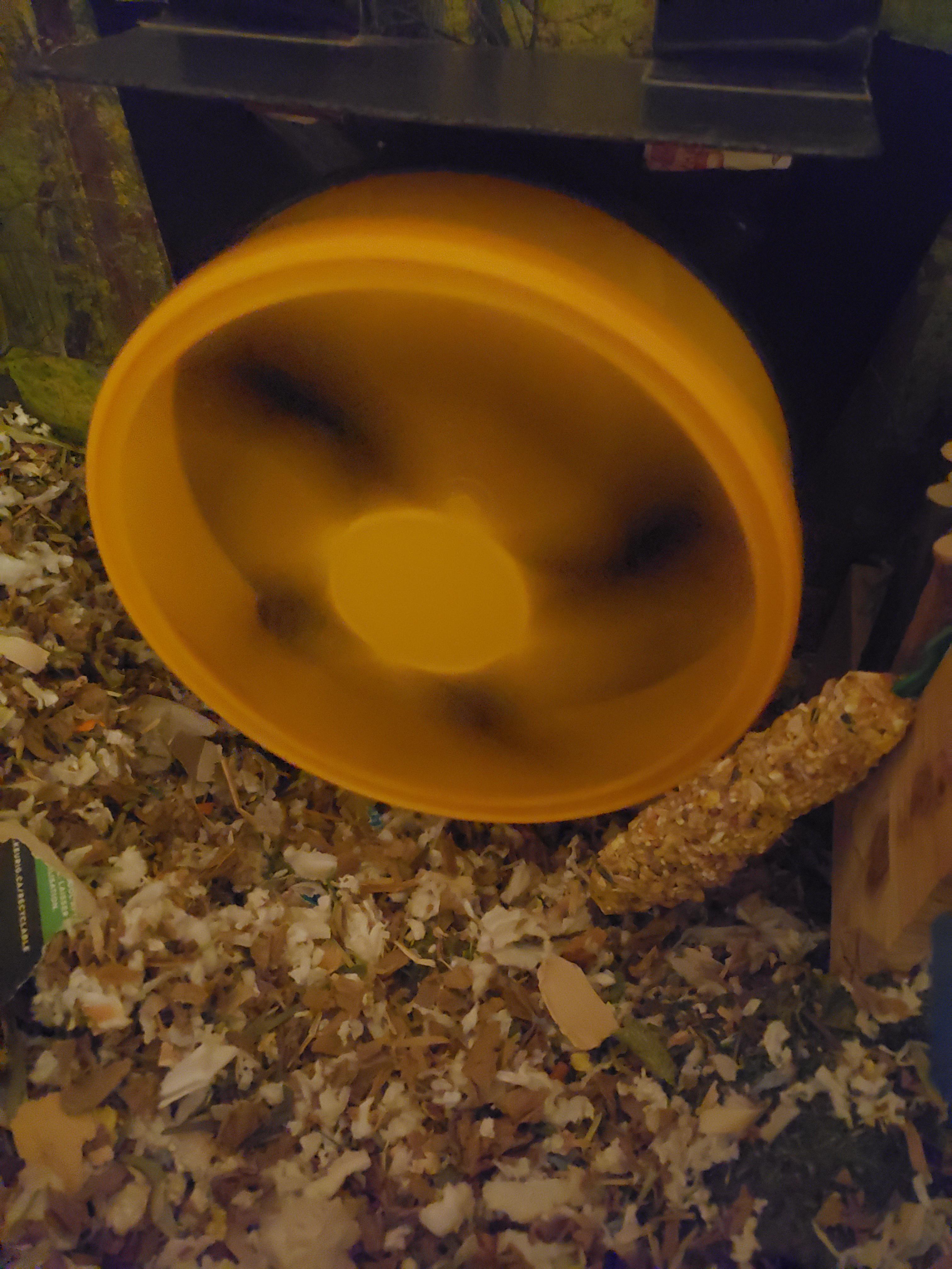 Please enjoy this photo of Jerry | Scrolller