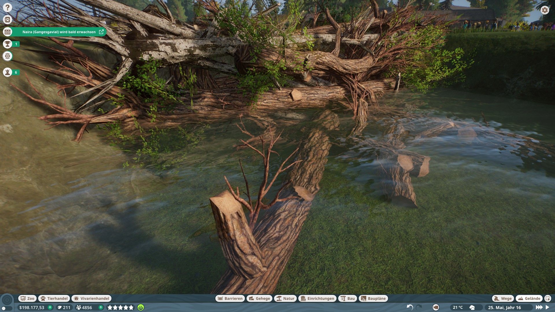 Please Frontier, give me Beaver!!! | Scrolller