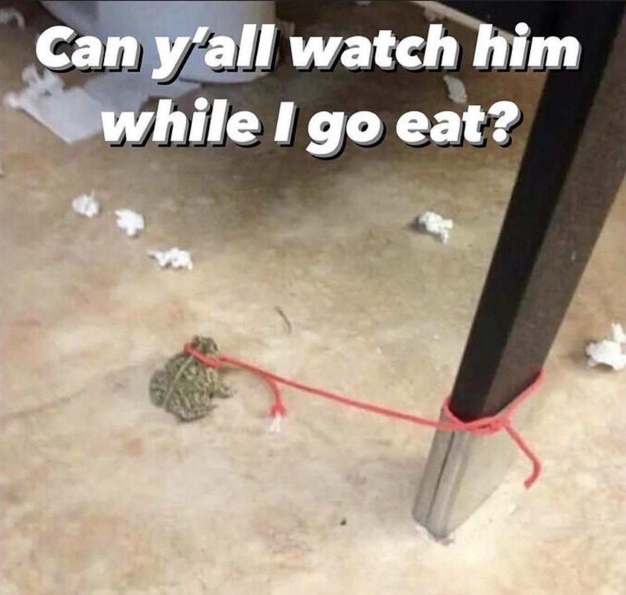 Please, I’m hungry and he always eats my food | Scrolller