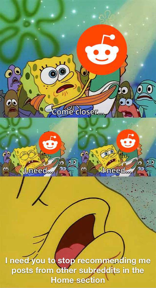 Please, it’s getting EXTREMELY annoying! | Scrolller