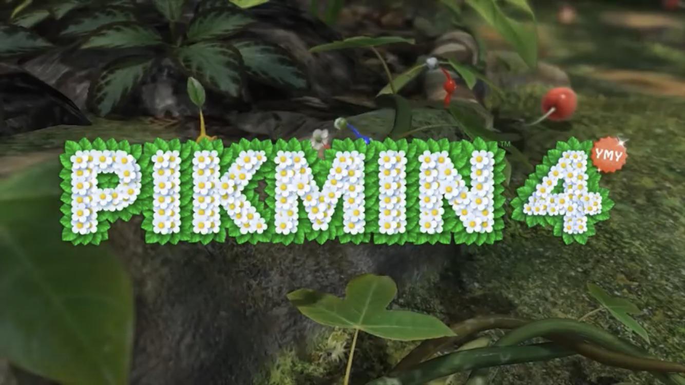 Please Nintendo | Scrolller