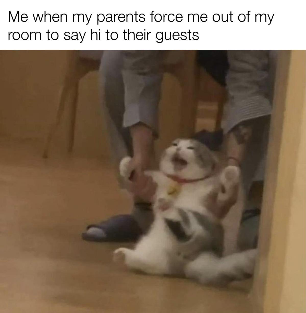 Please no | Scrolller