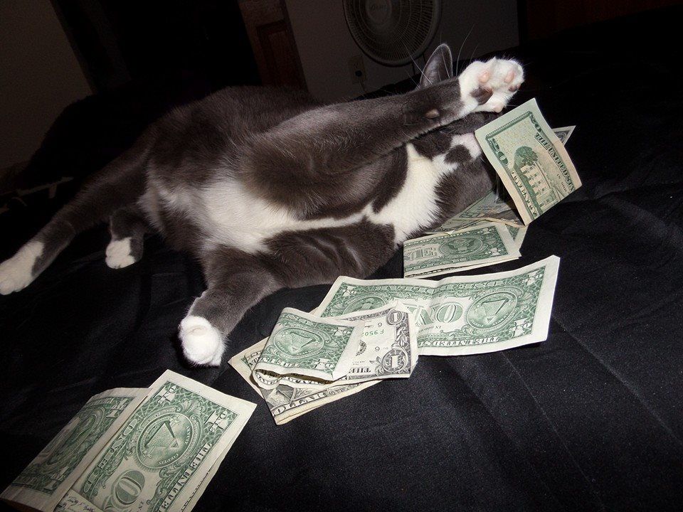 Please! No Paparazzi! | Scrolller