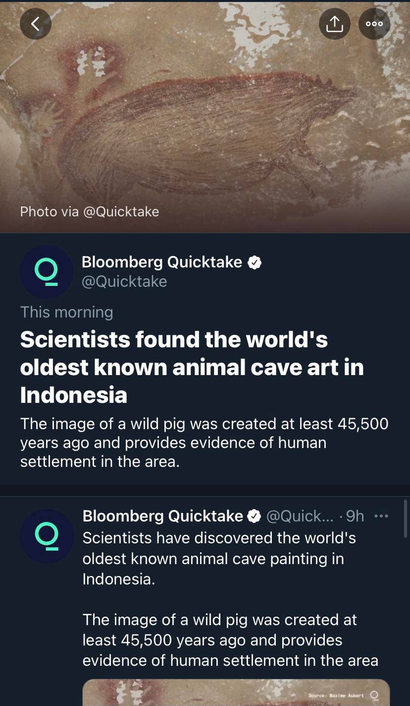 Plot twist: the real origin of this mess 😂 | Scrolller