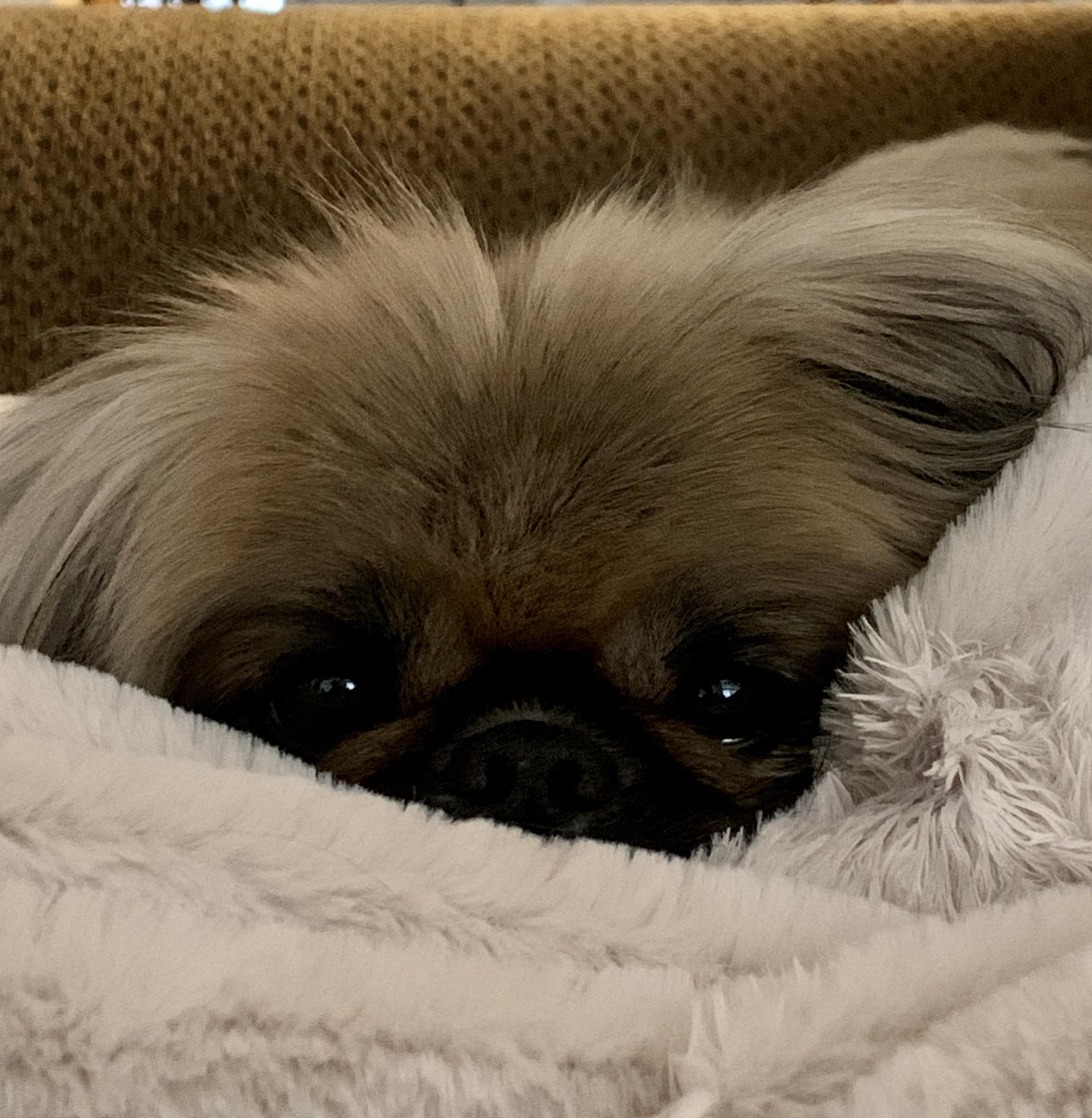 Plotting her next move | Scrolller