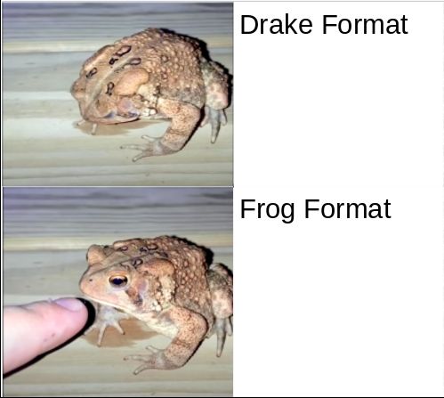 Pls make this a meme format | Scrolller