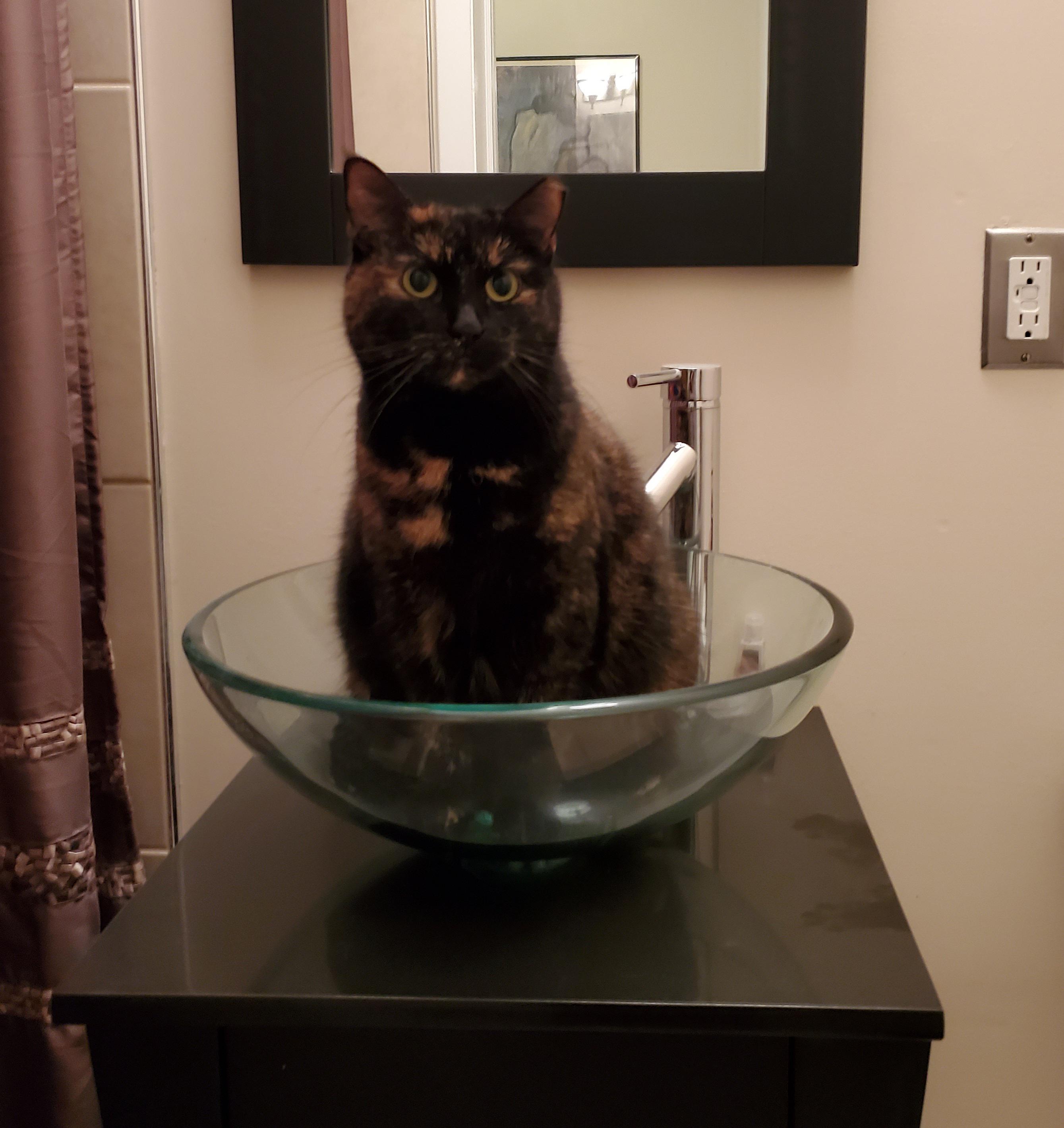 anyone know a good plumber? | Scrolller